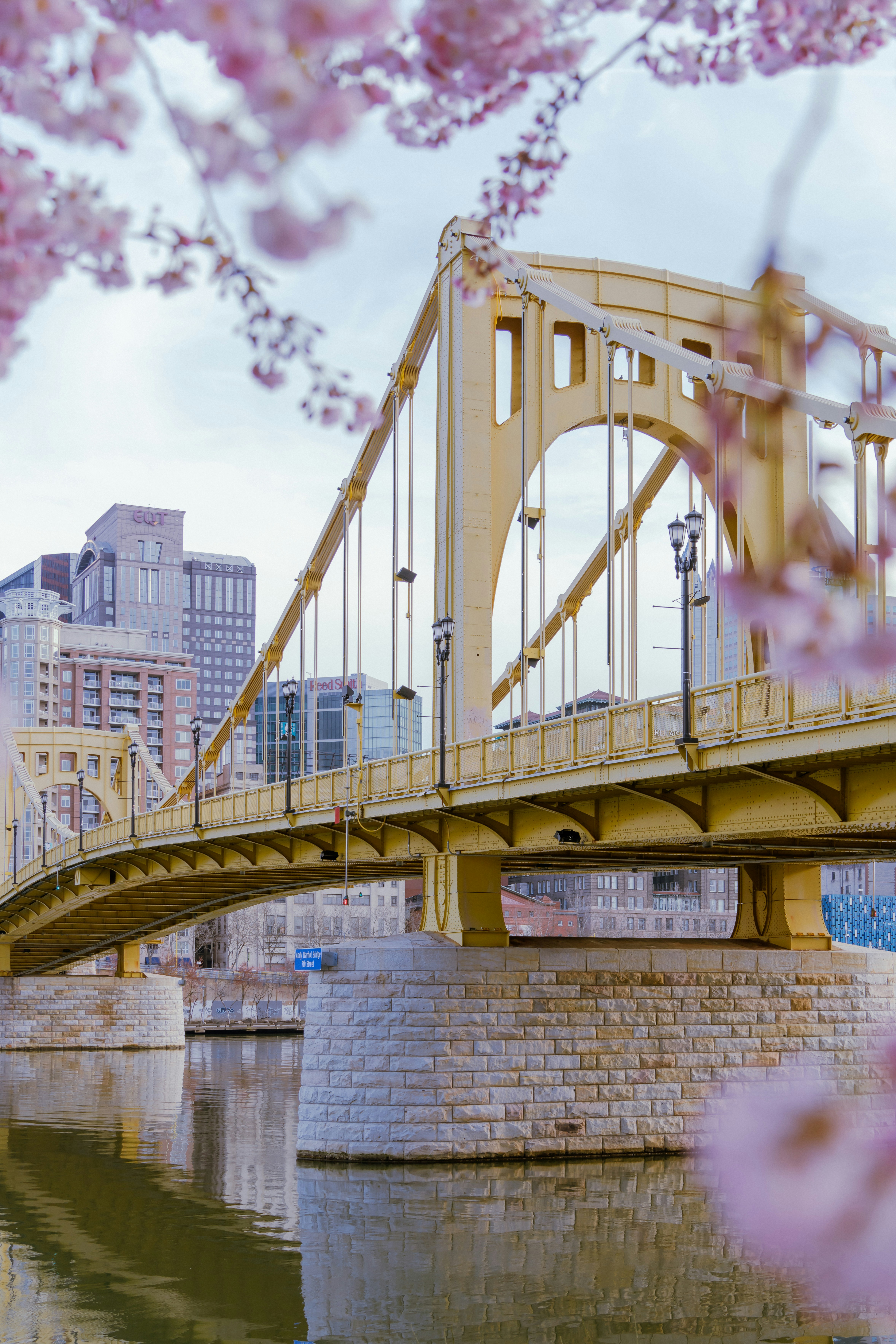 Golden Arch over Cherry-Blurred River: A Springtime Suspension Scene