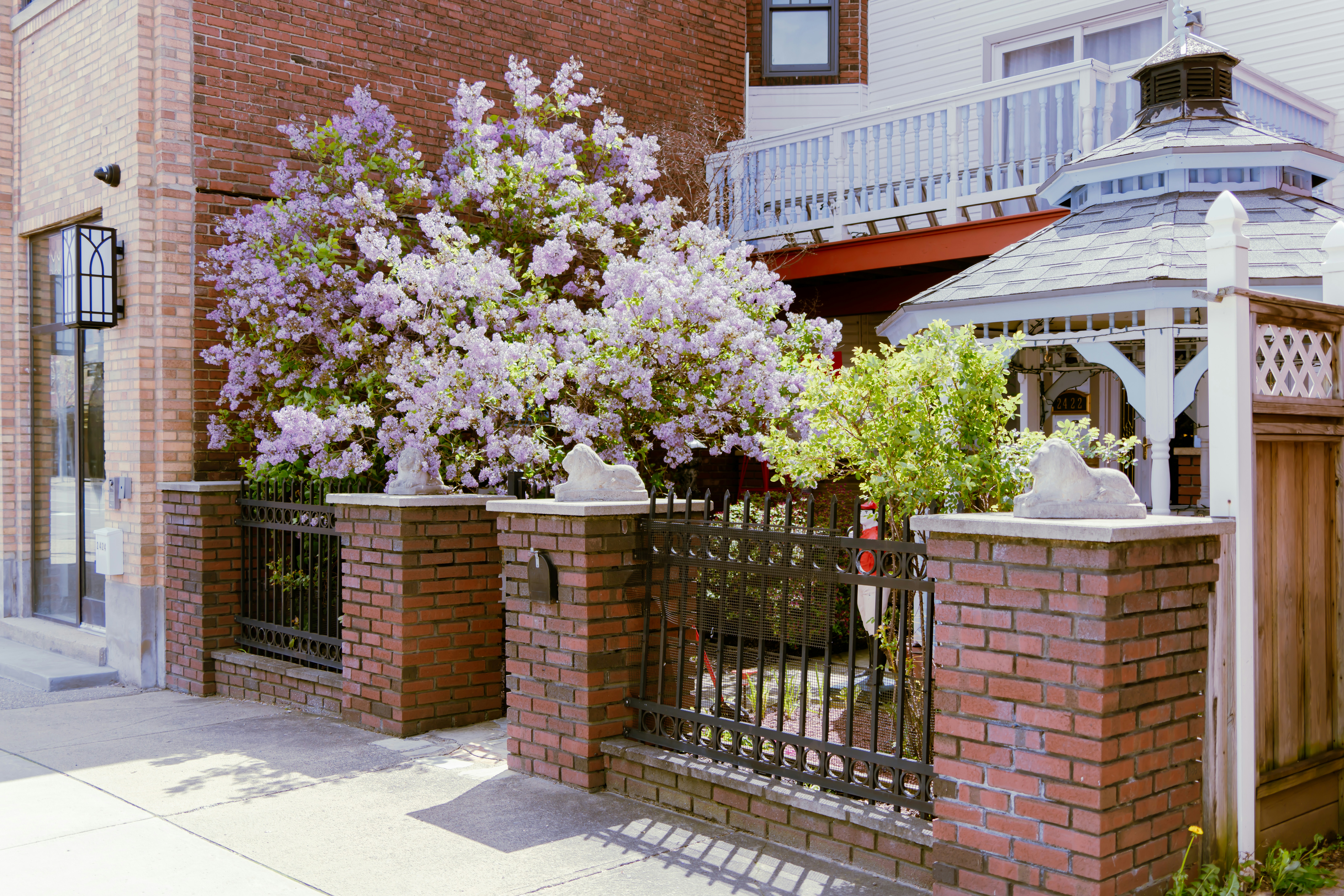 Photo by Zhen Yao with Sony Alpha 7R IV