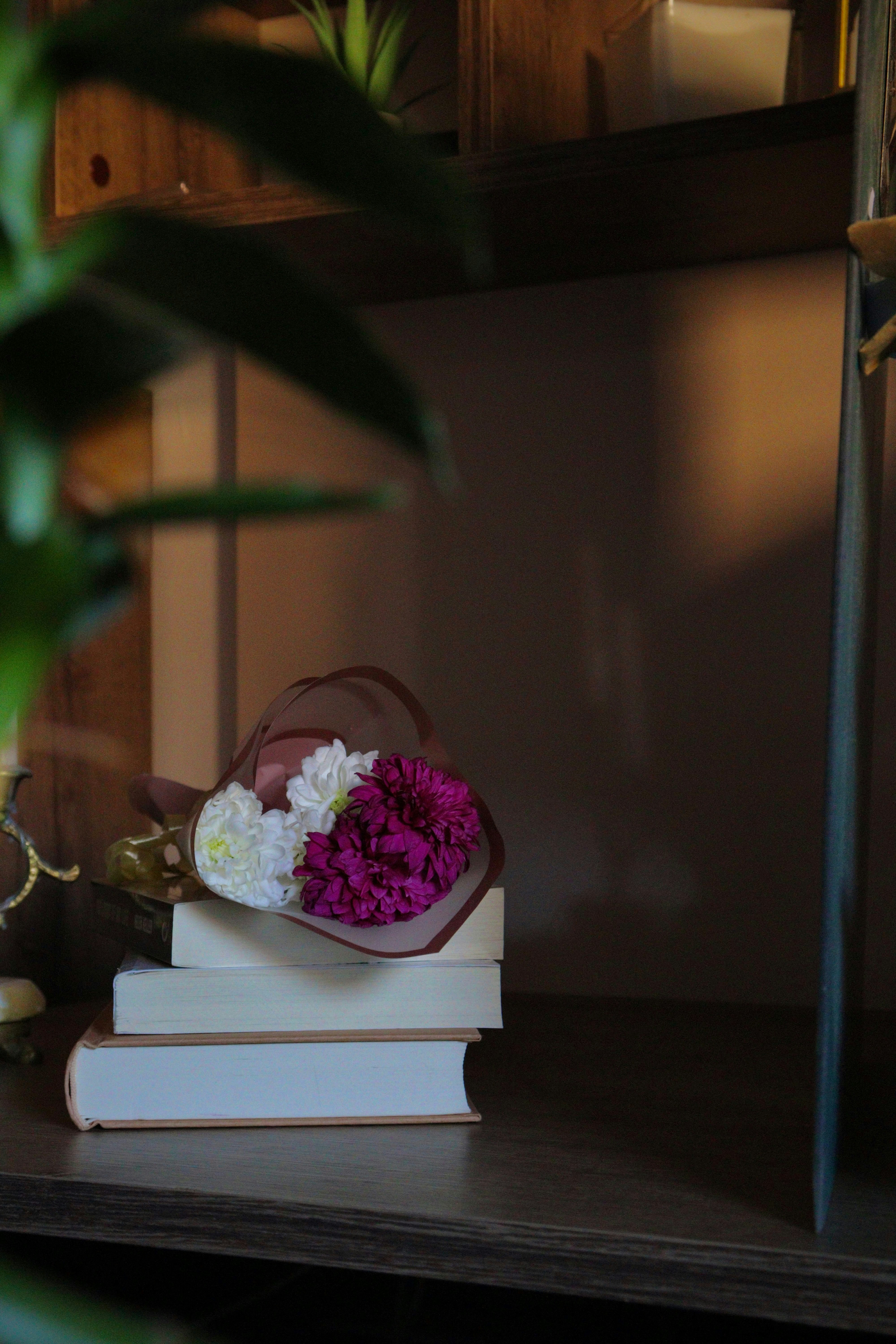 Petals on the Shelf: A Quiet Bouquet Among Books