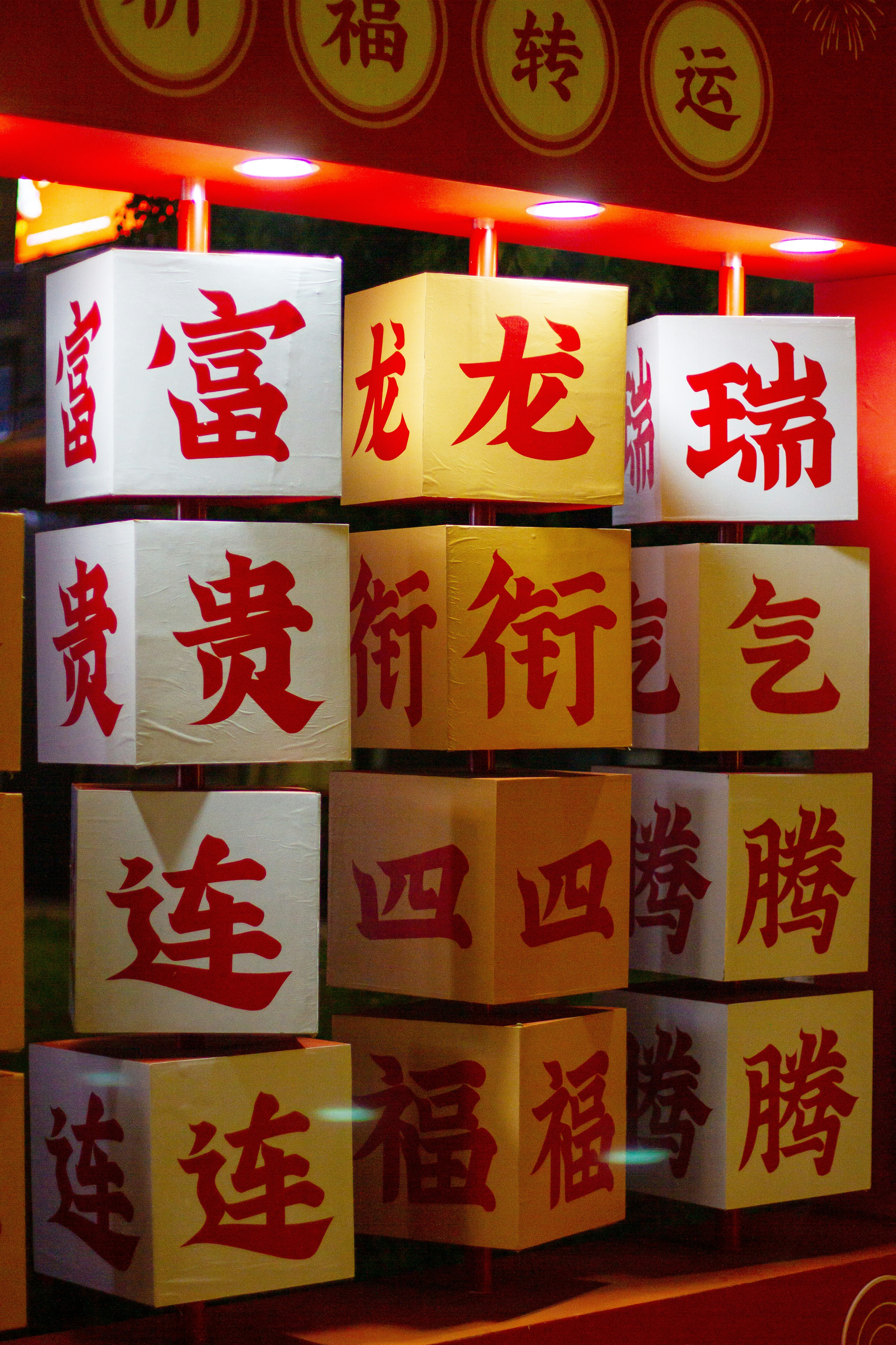 Illuminated Wisdom: A Cultural Mosaic