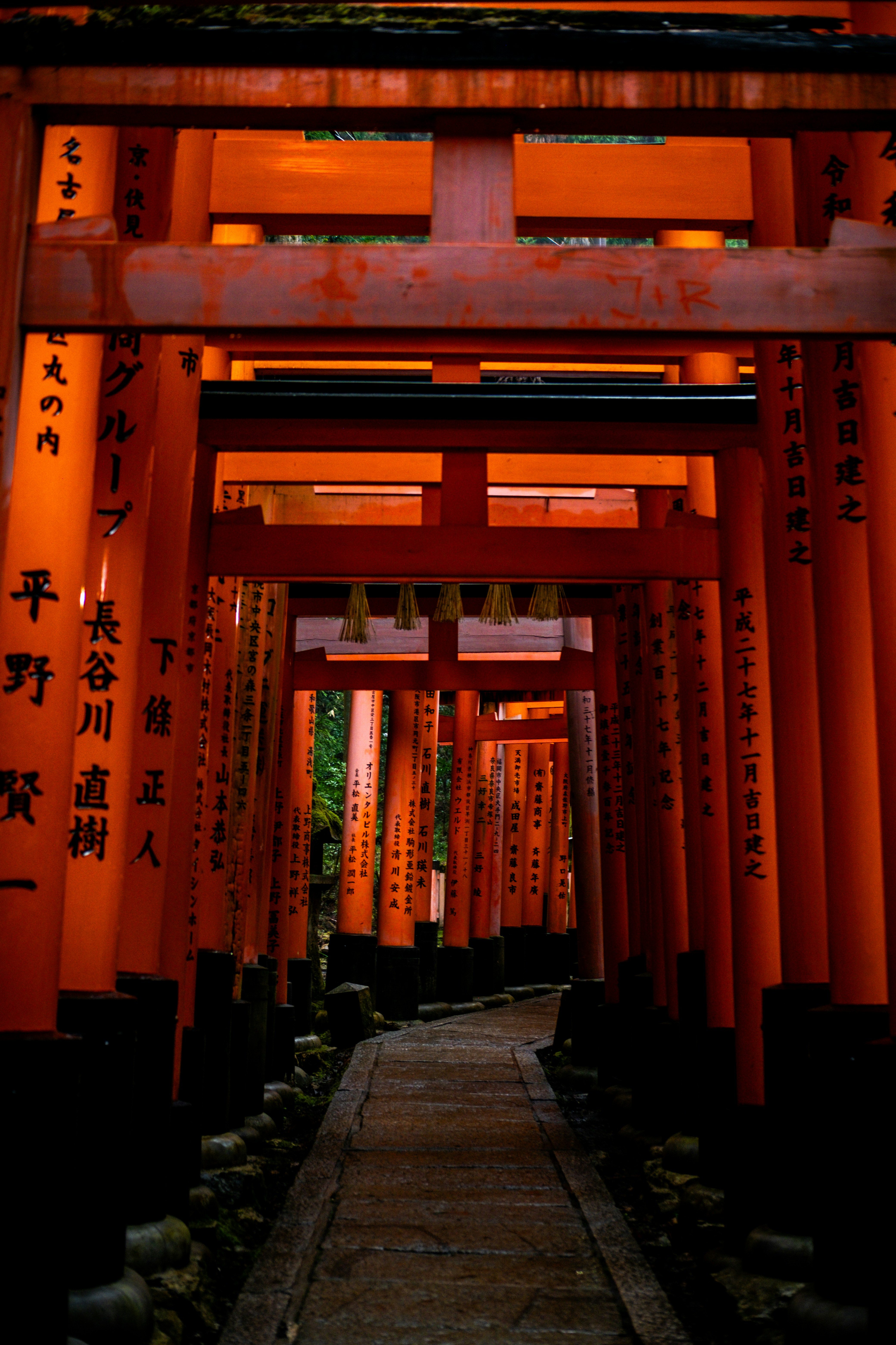a walkway lined with red tori tori tori tori tori tori tori tori tori tori tori