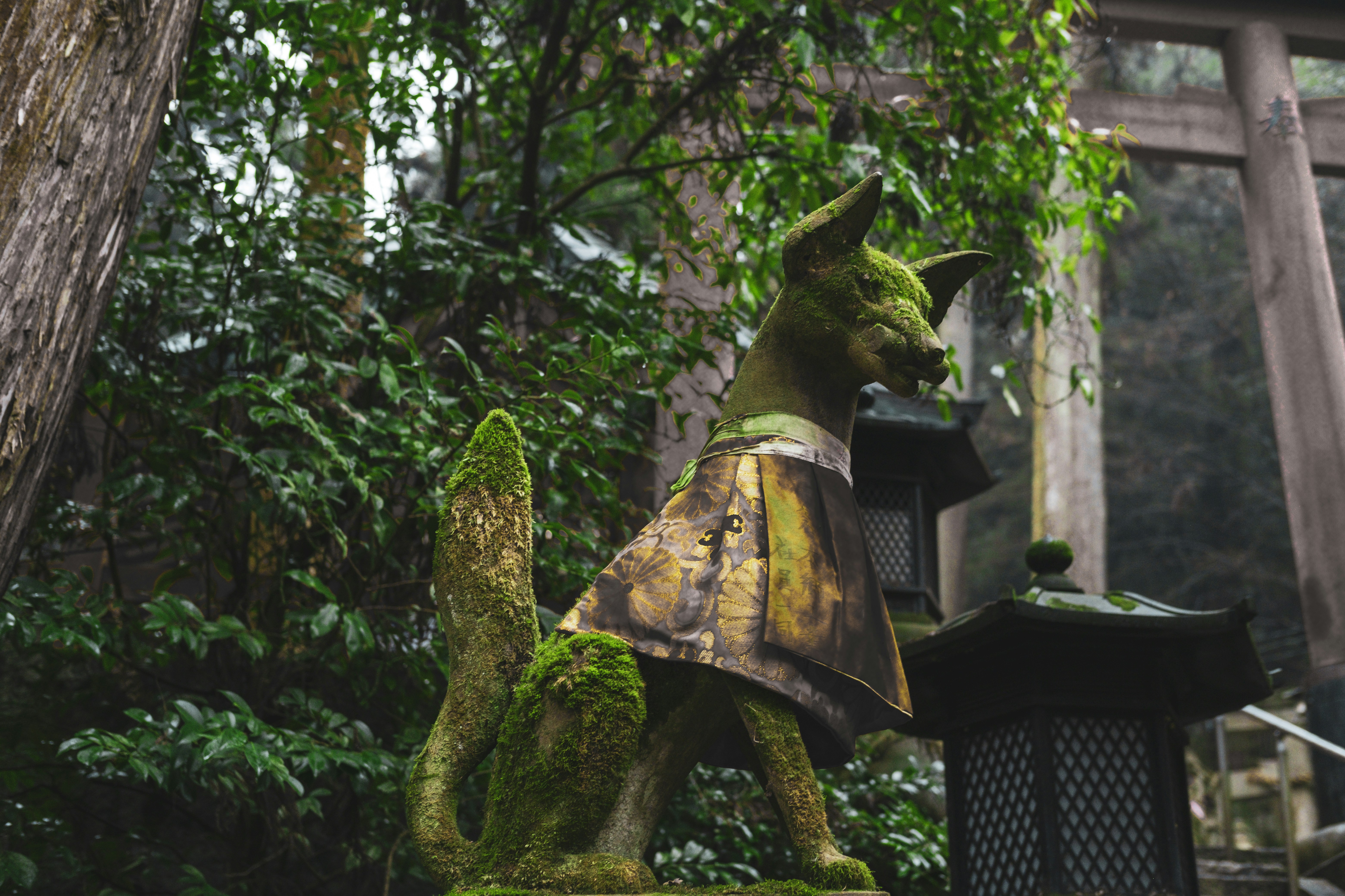 A statue of a cat in a costume photo – Free Summit of mt. inari Image ...