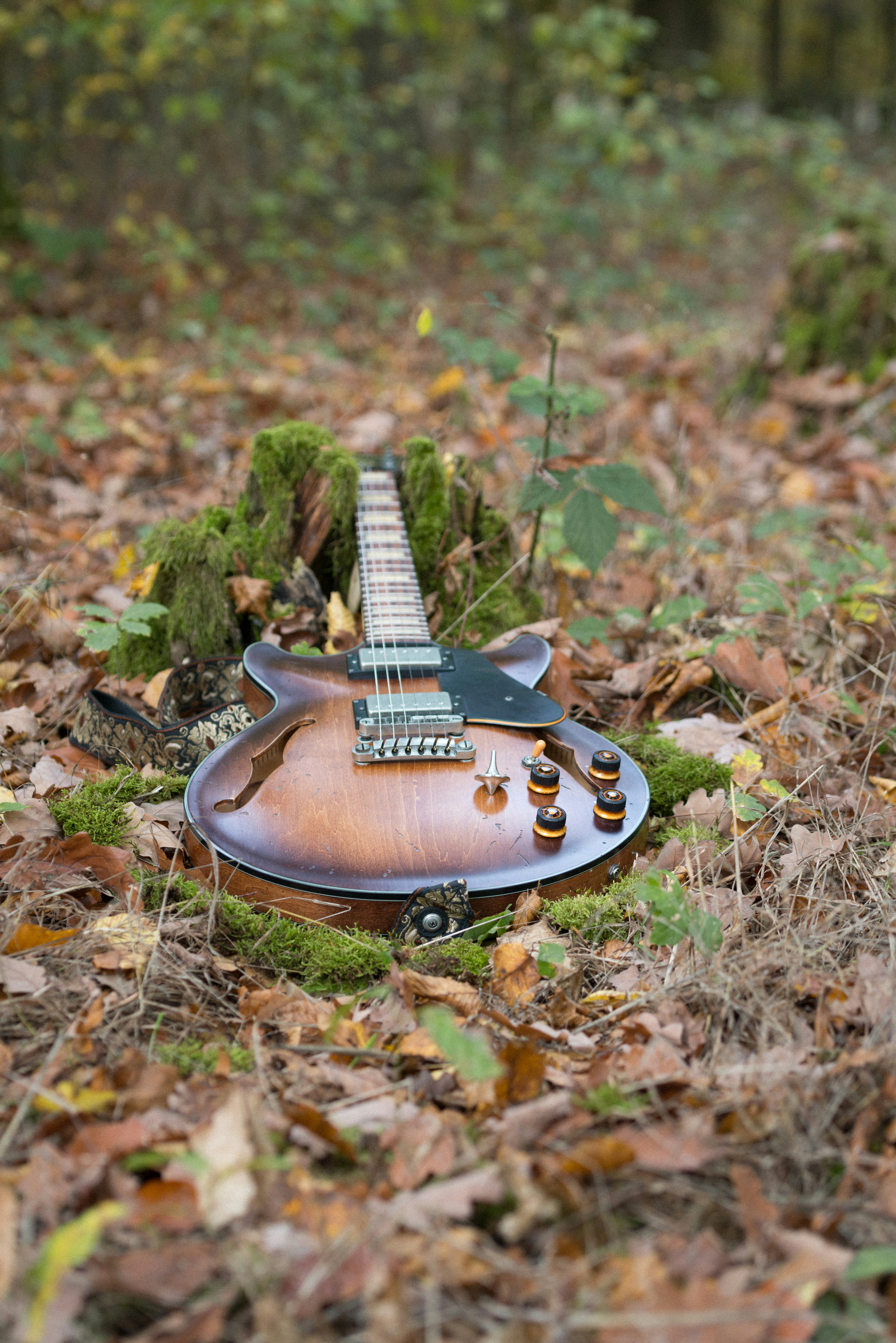 A guitar laying on the ground in the woods photo – Free Guitar Image on ...