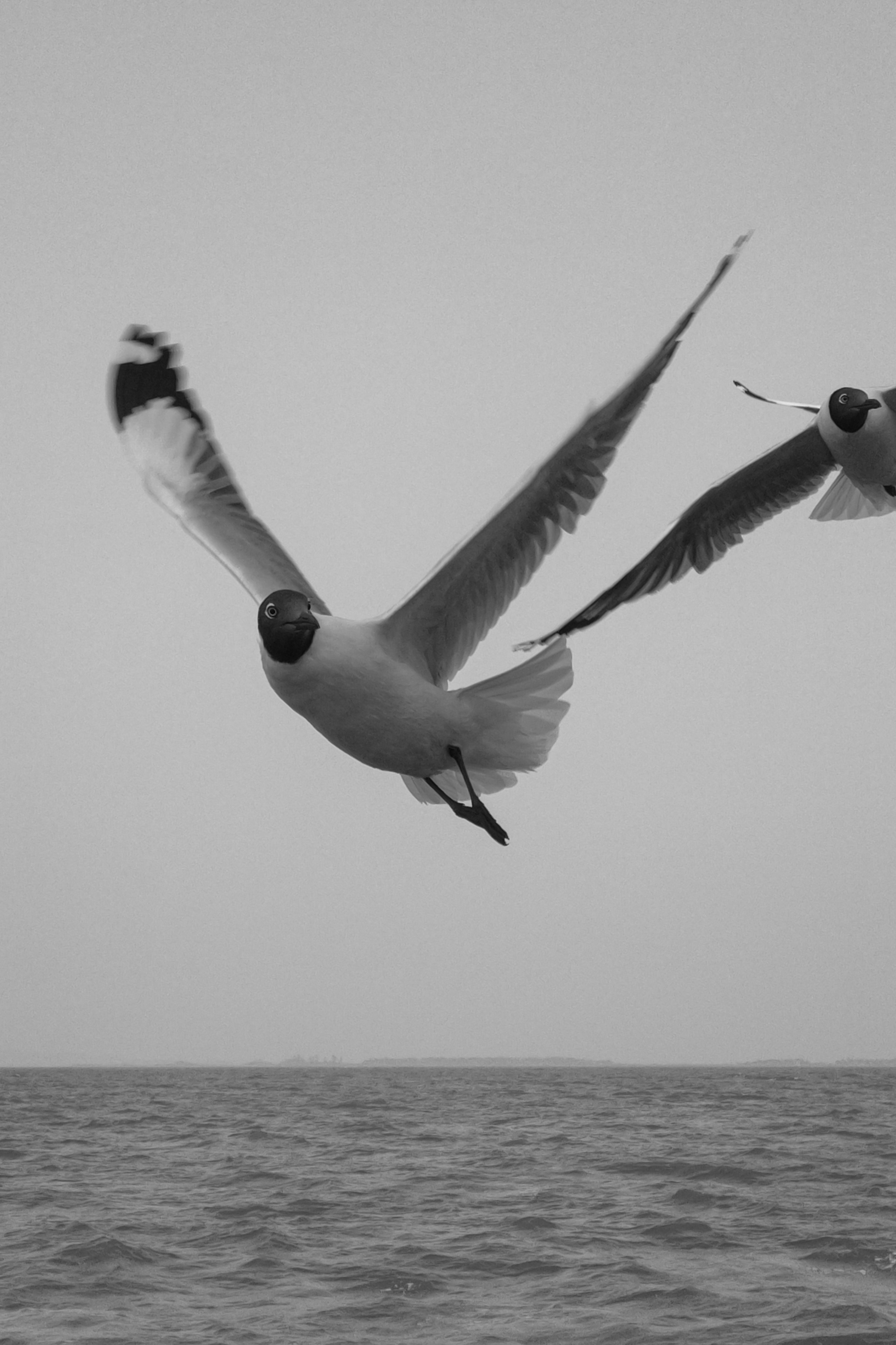 Photo by Dhruv with Realme X