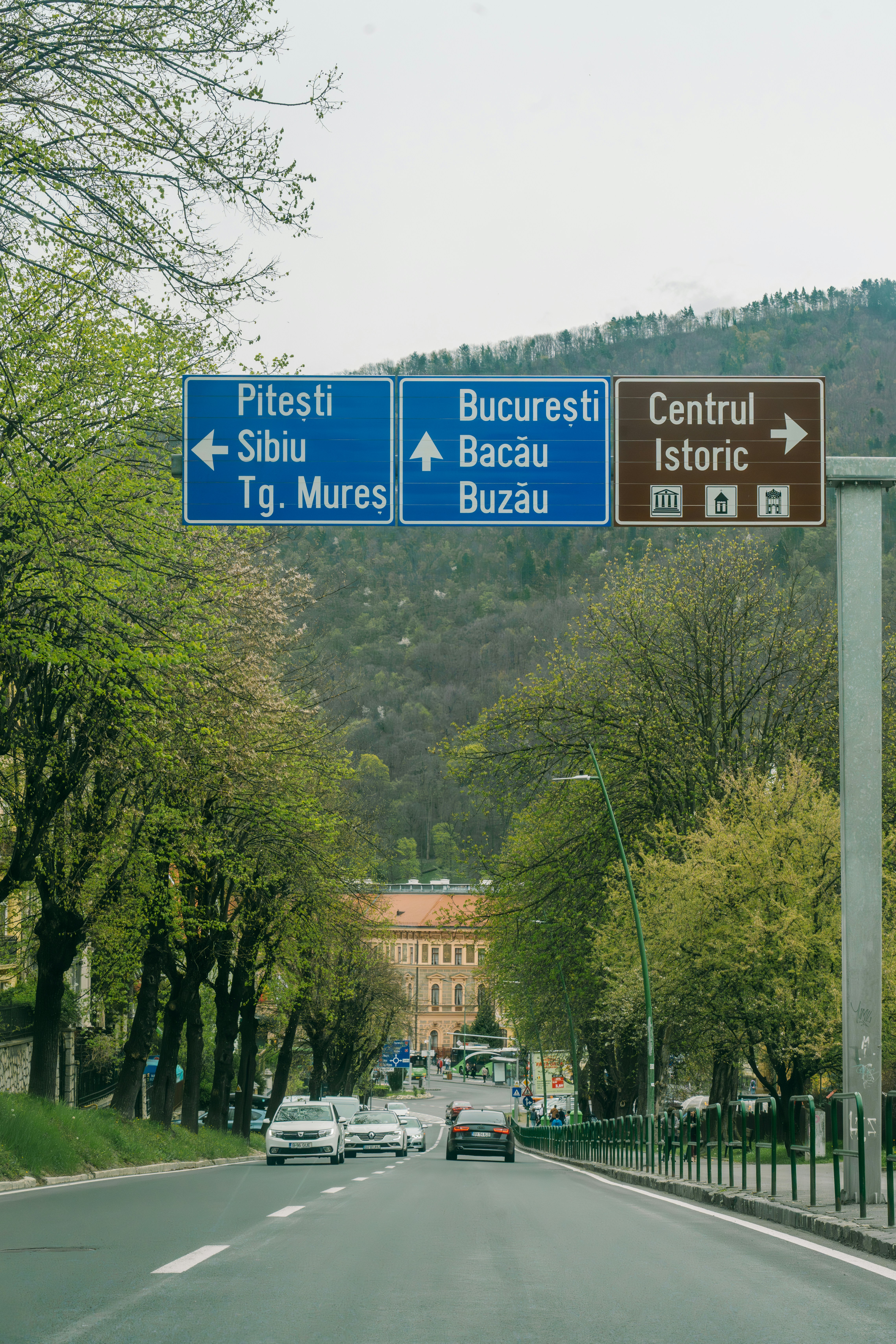 Blue Signposts On a Tree-Lined Romanian Boulevard