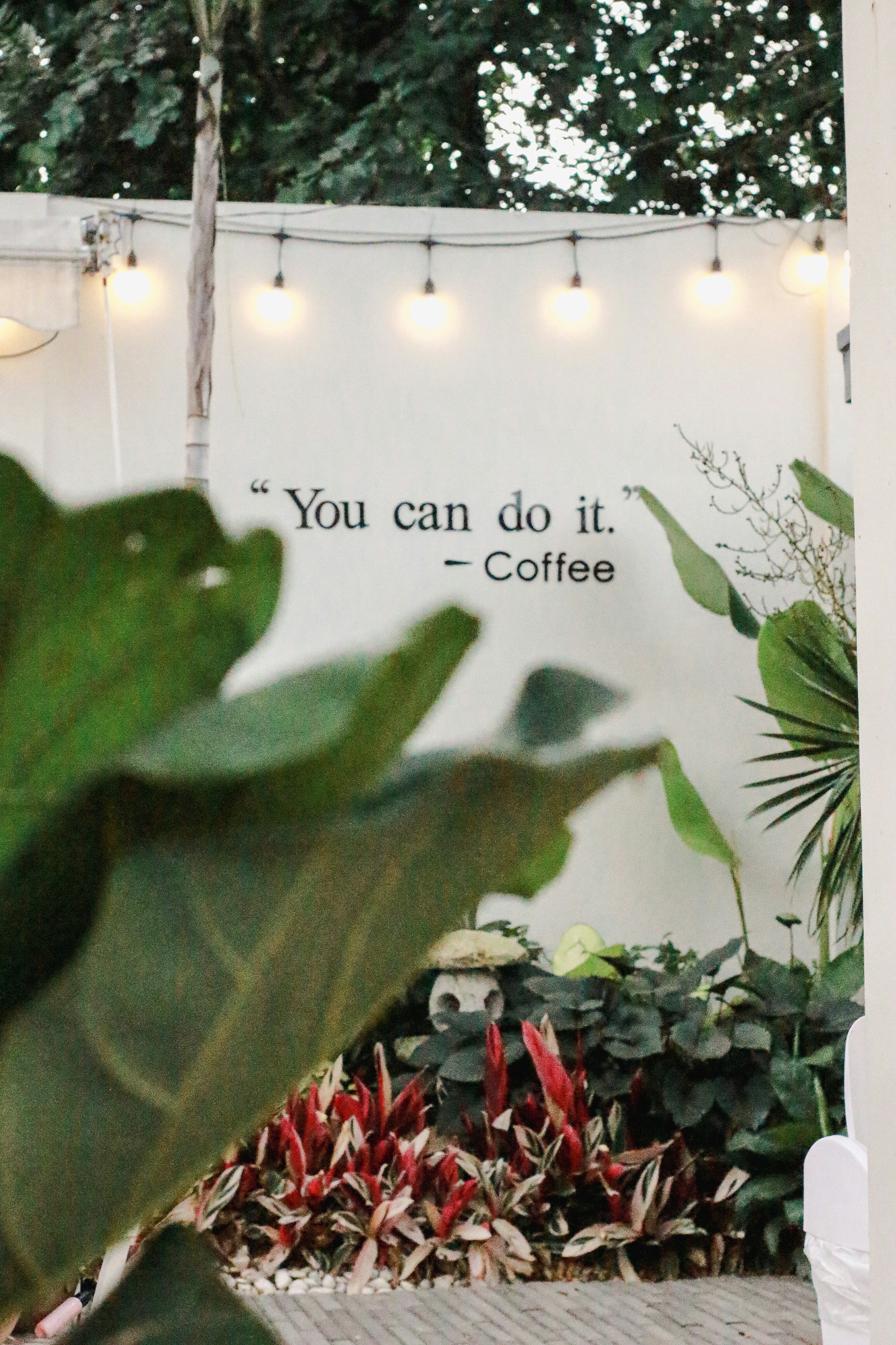 Encouragement Between Leaves: A Softly Lit Café Wall