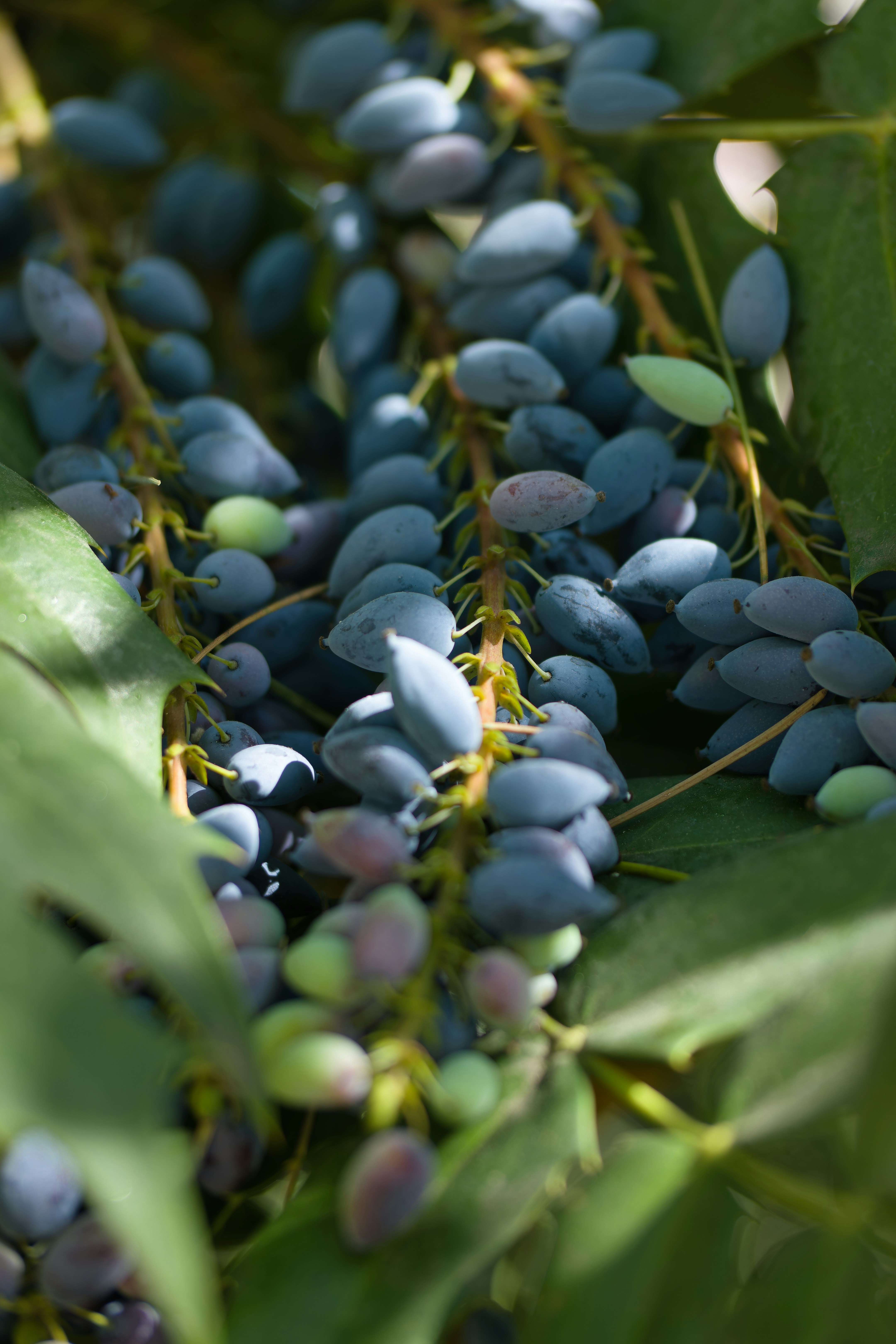 Photo by piotr sawejko with Samsung NX1