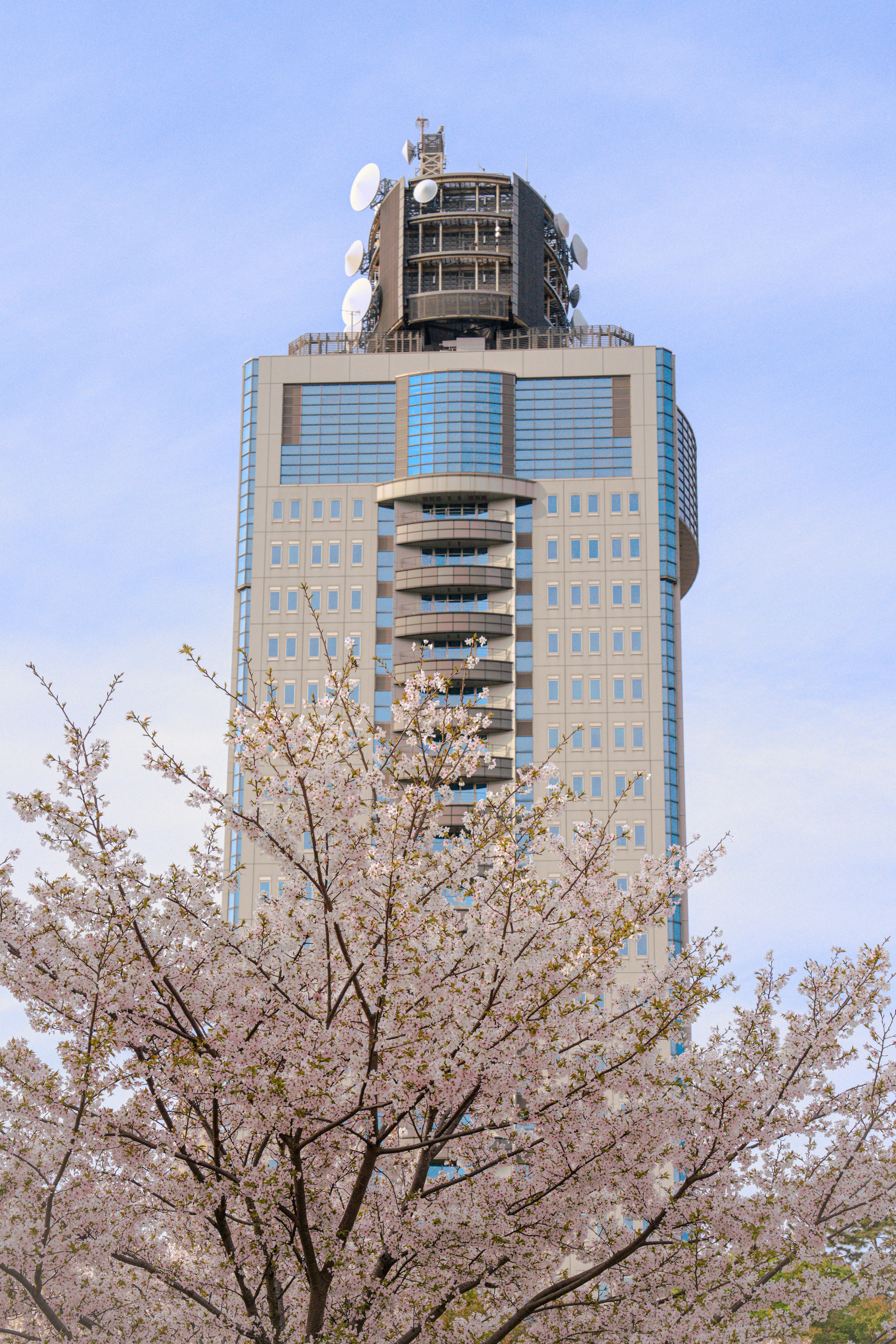 Antenna-Crowned Tower Emerges Through Spring Cherry Blossoms