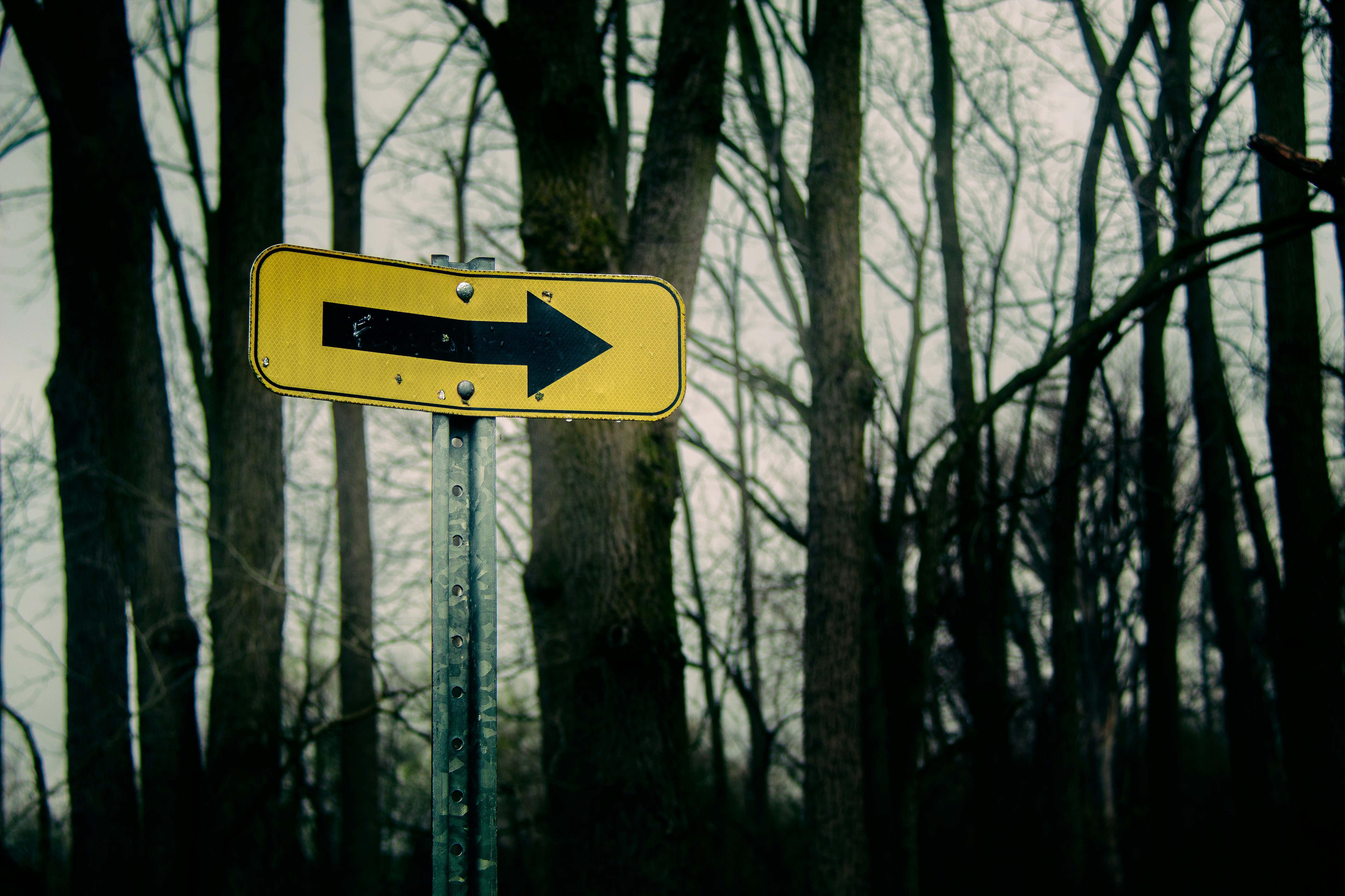 A yellow street sign with an arrow pointing to the right photo – Free ...