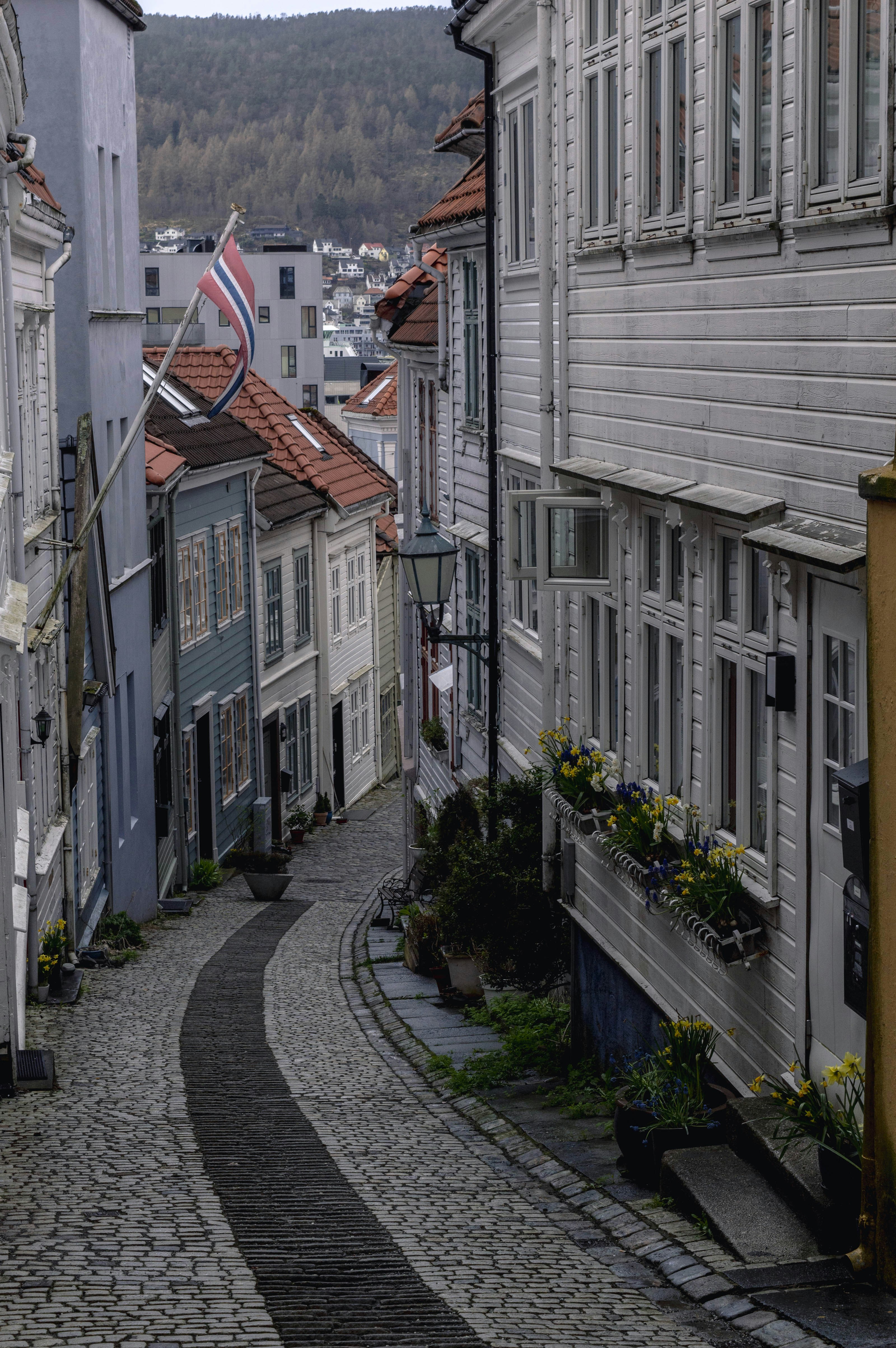 Cobblestone Bend: A Nordic Alley Between Painted Wooden Facades