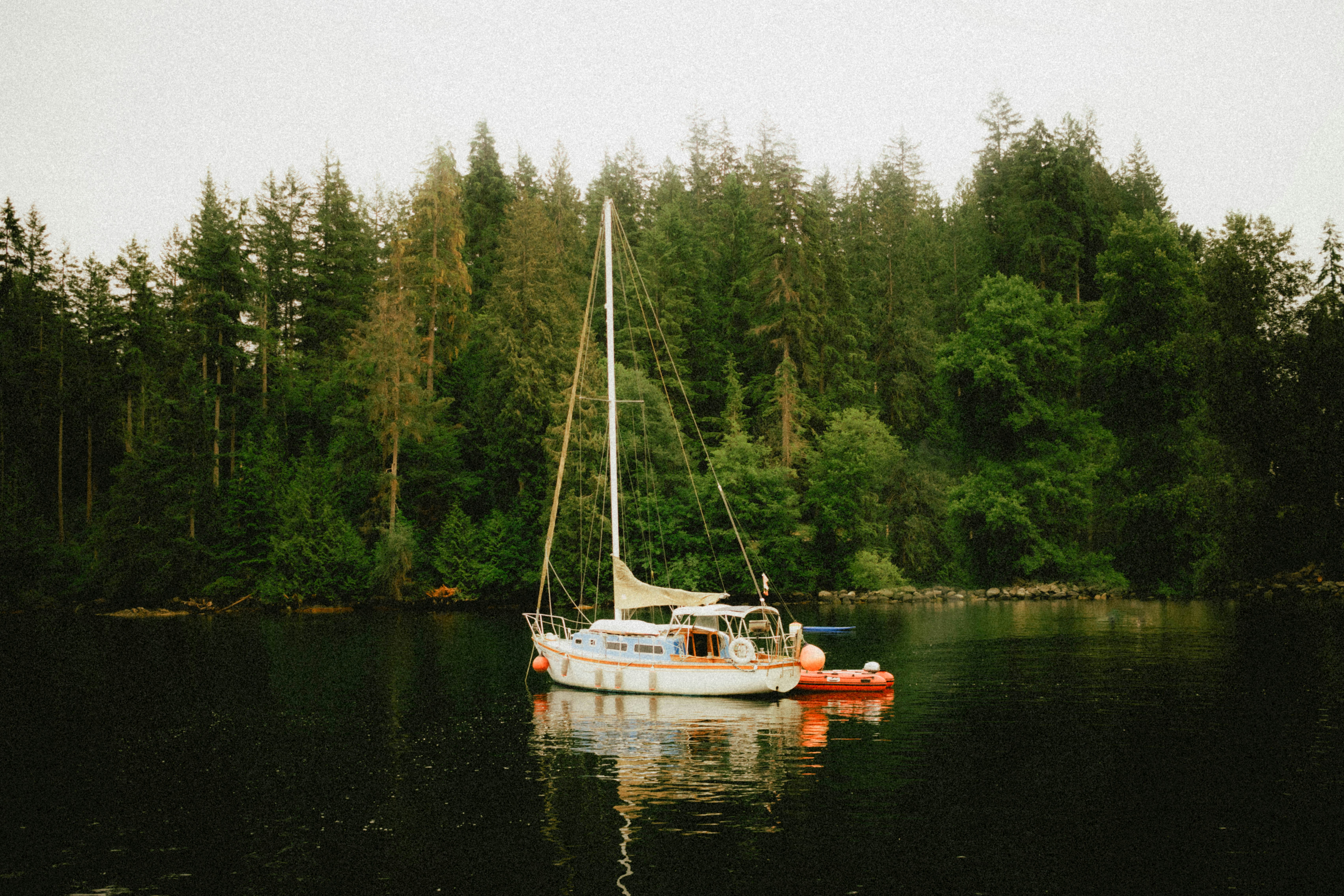 Sailboat on a Glassy Lake Among Verdant Pines