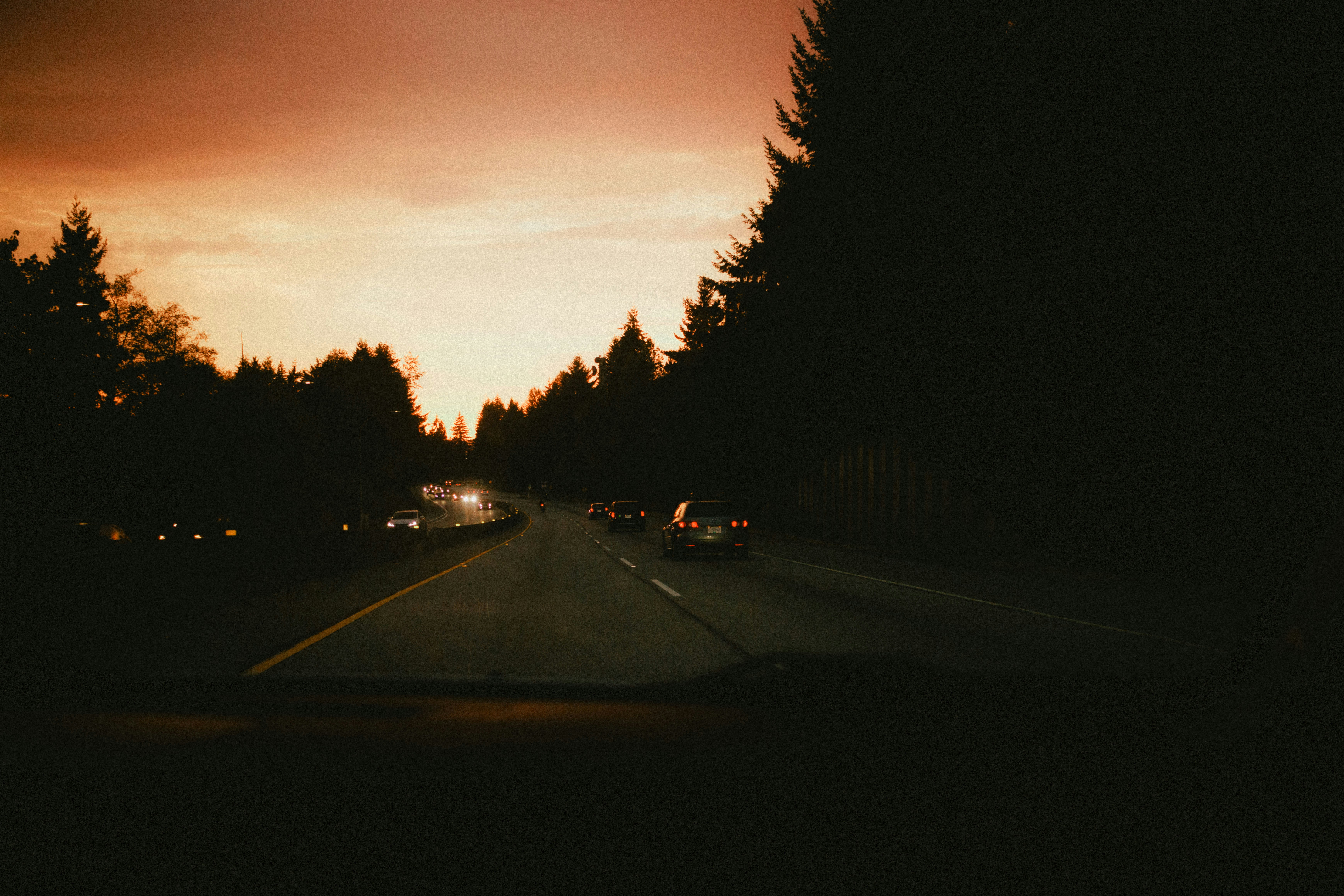 Amber Horizon Over a Tree-Lined Highway at Dusk