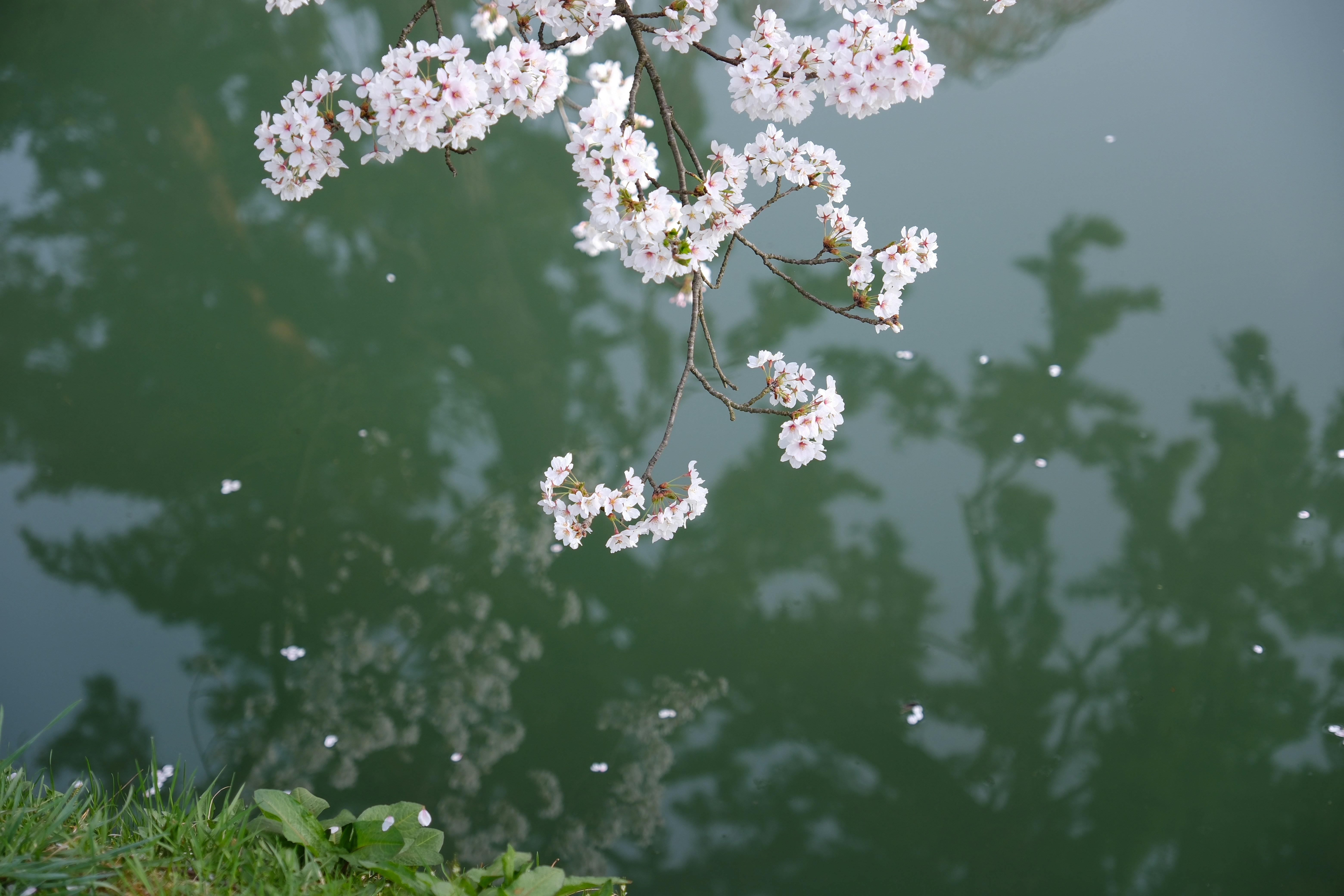 Photo by Seiya Maeda with Fujifilm X-H2S