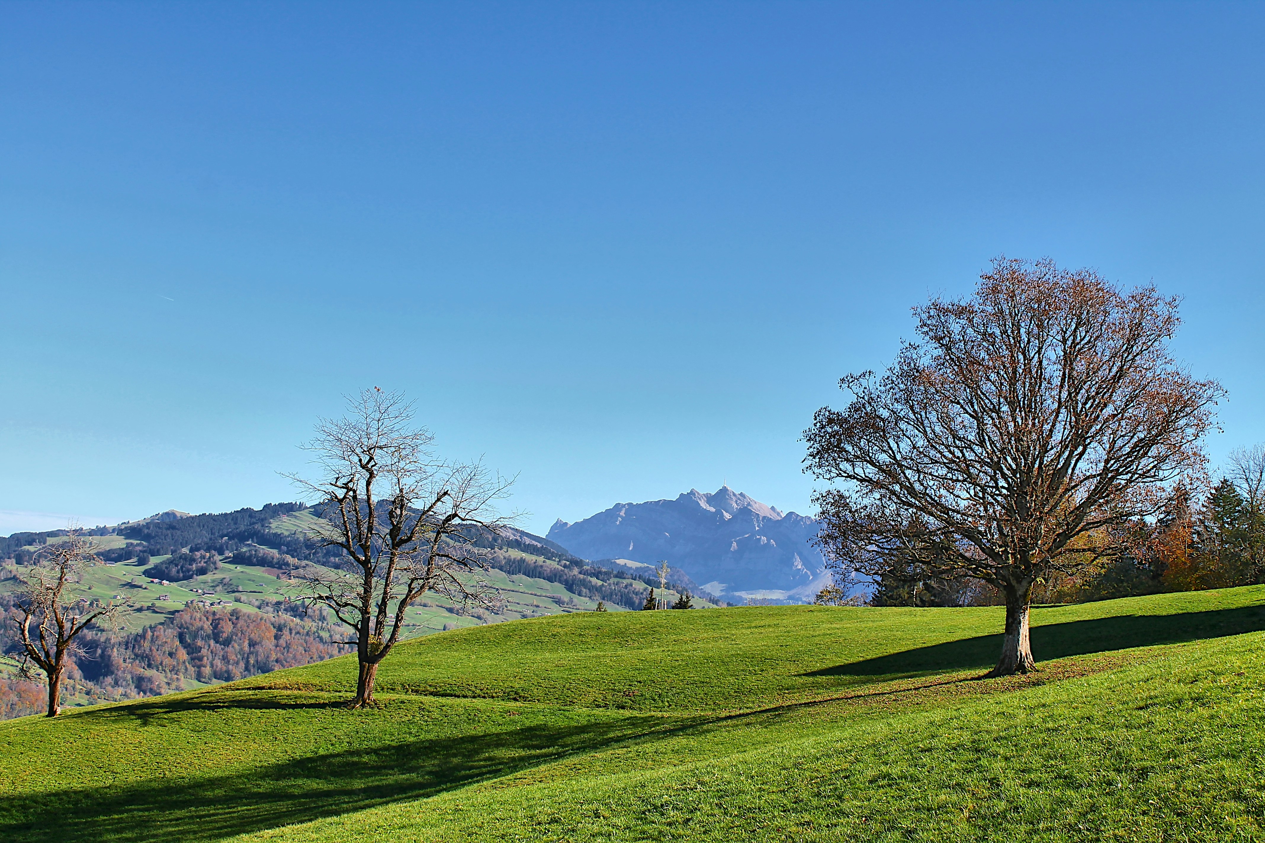 Above Ebnat-Kappel: Alpstein Mountains in sight