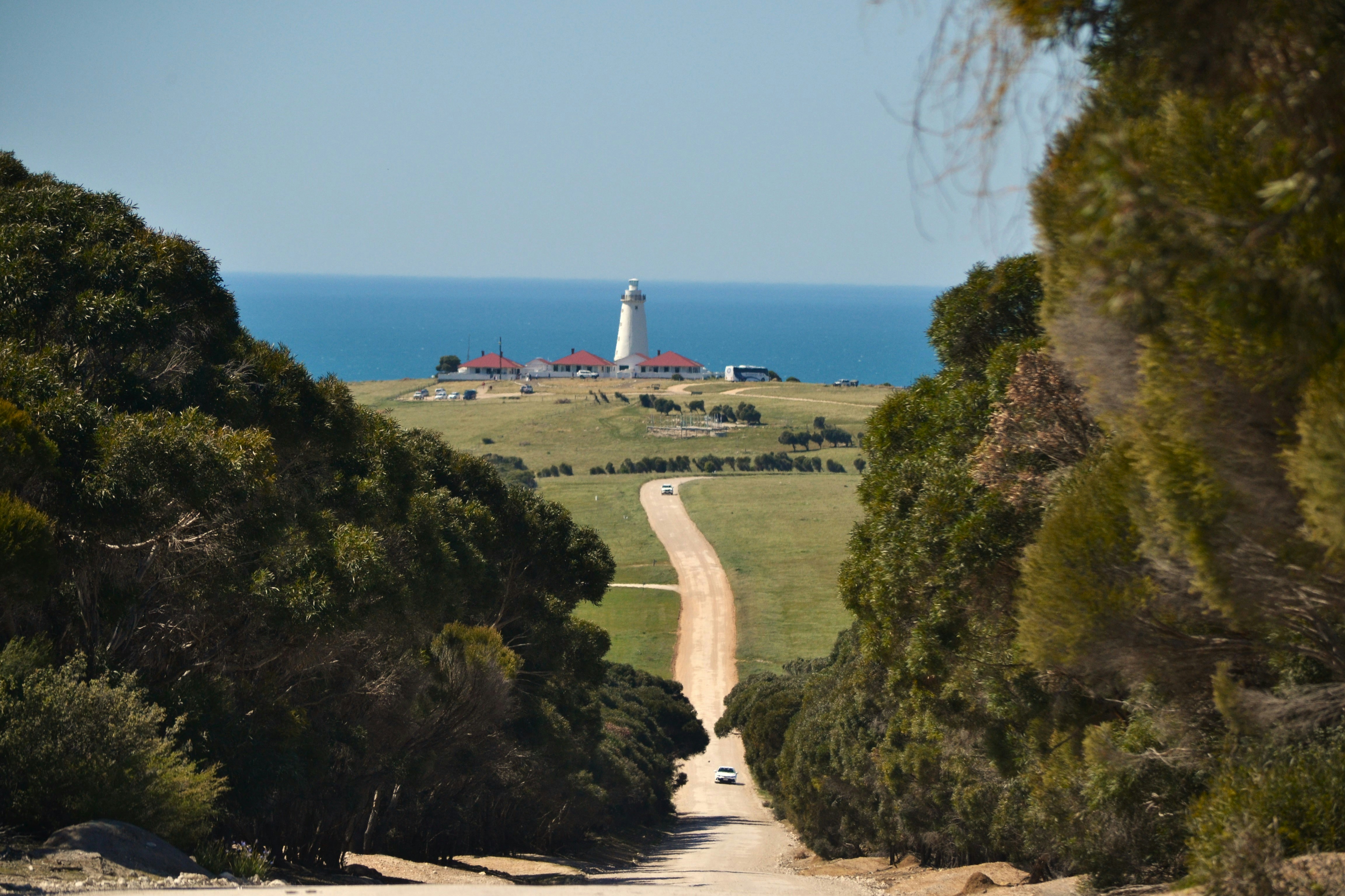 Coastal Convergence: The Road to a Lone Lighthouse on a Clear Day