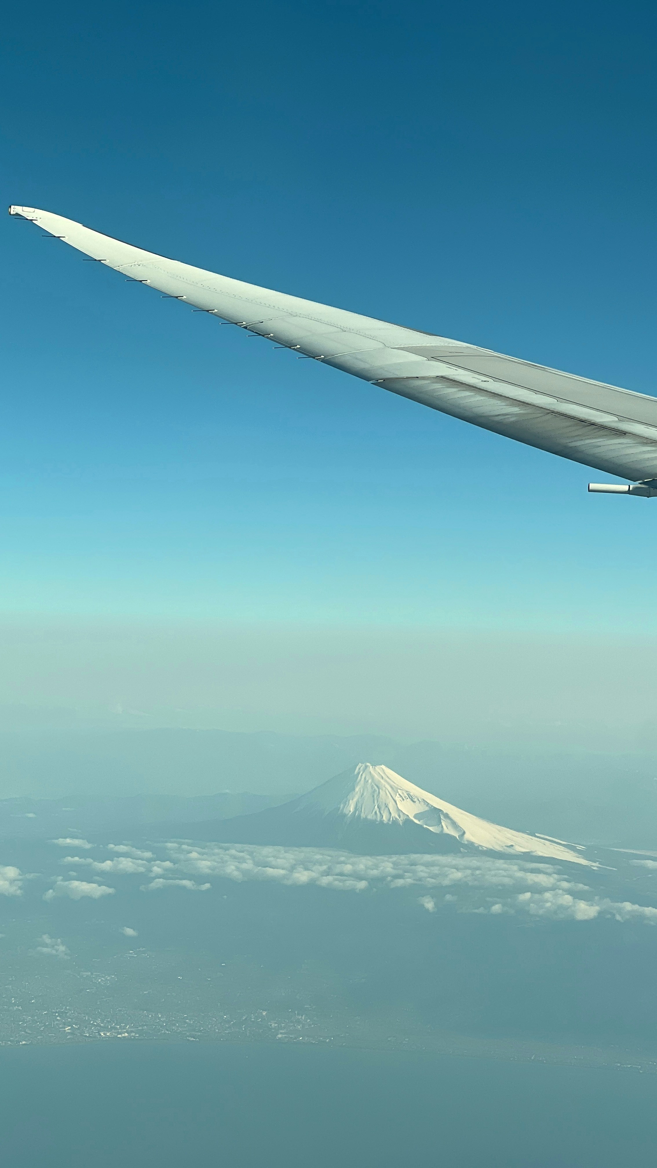 Winged Vista: Quiet Descent Over a Snow-Capped Peak