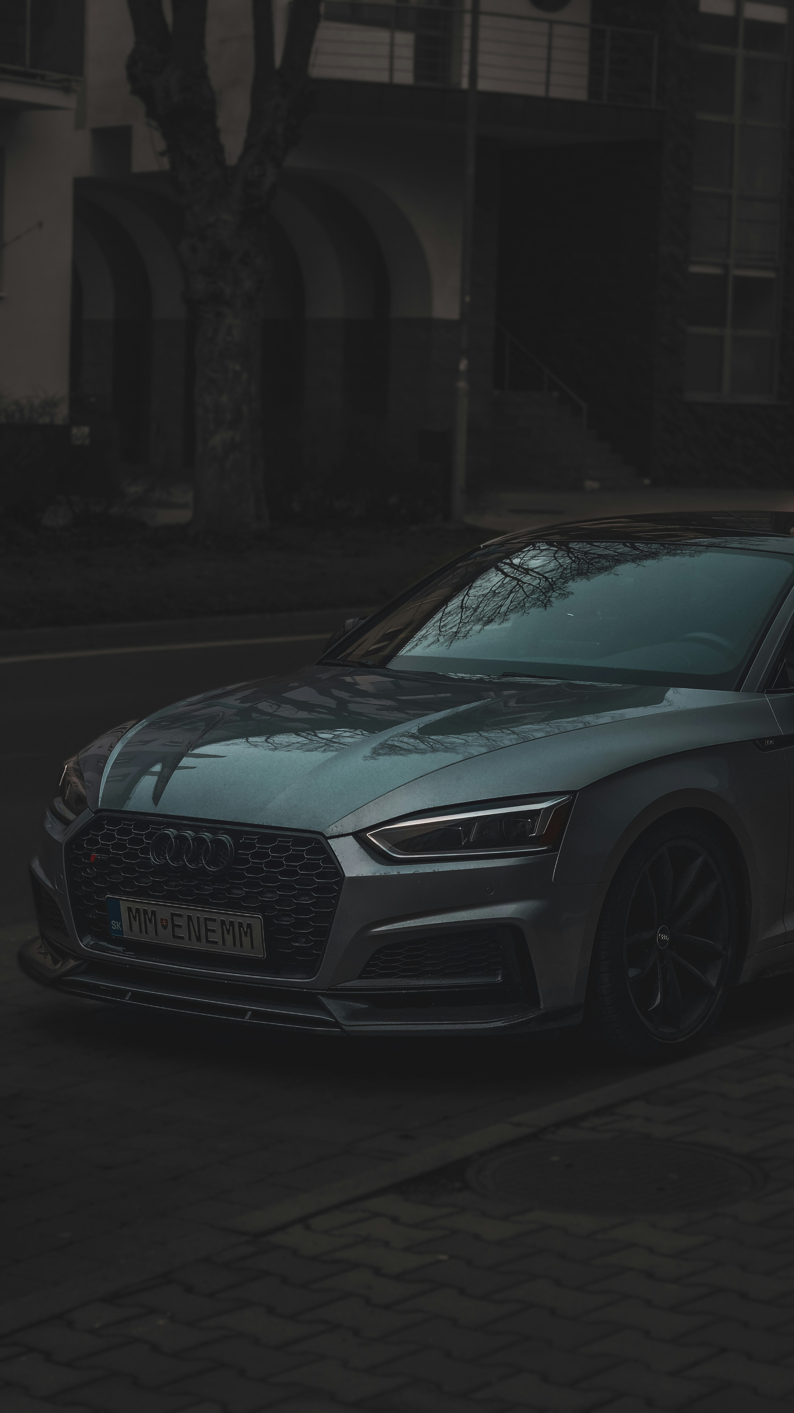 Photo by Mathew Antony with Sony Alpha 58