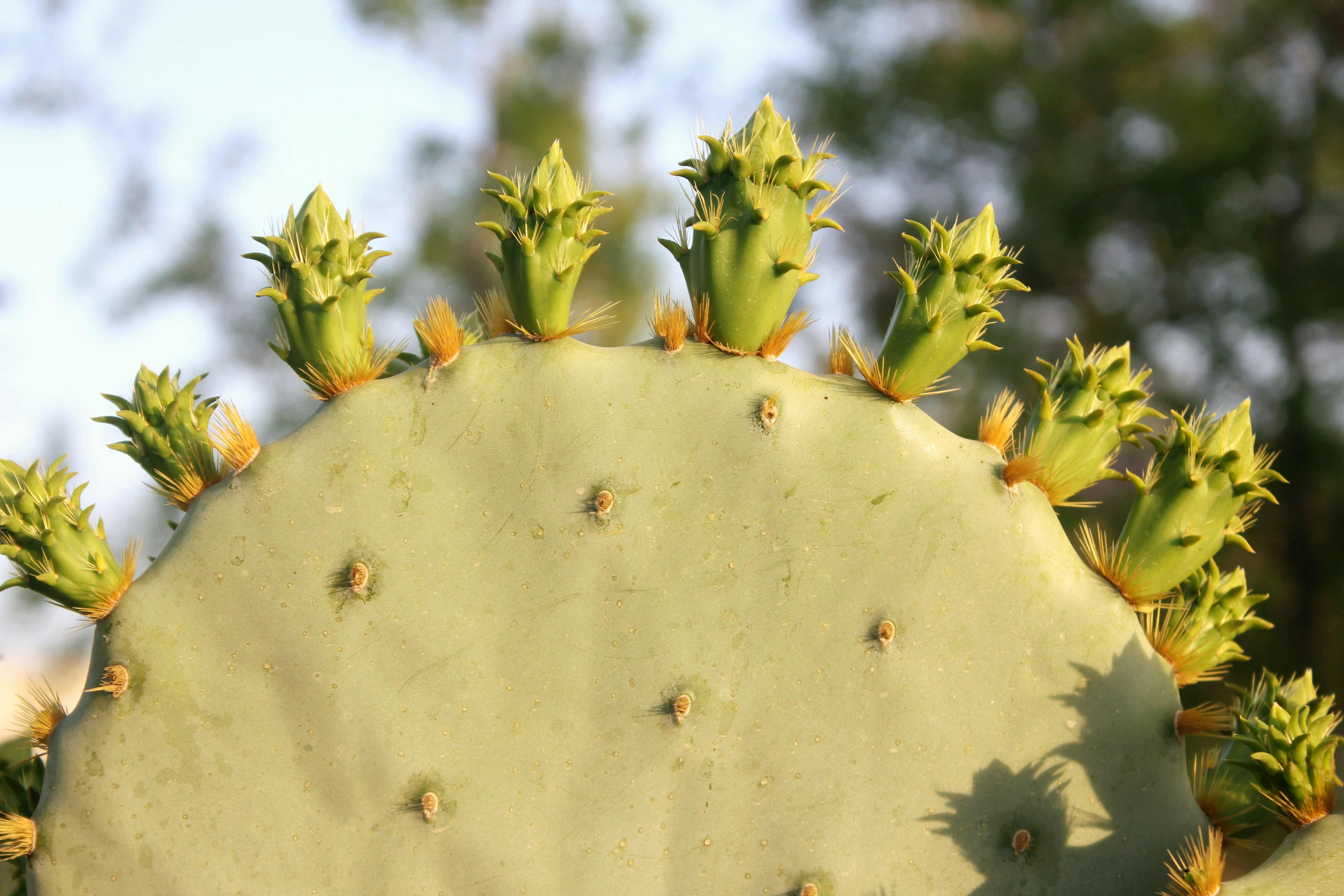 Photo by AmirHadi Manavi with Canon EOS 550D