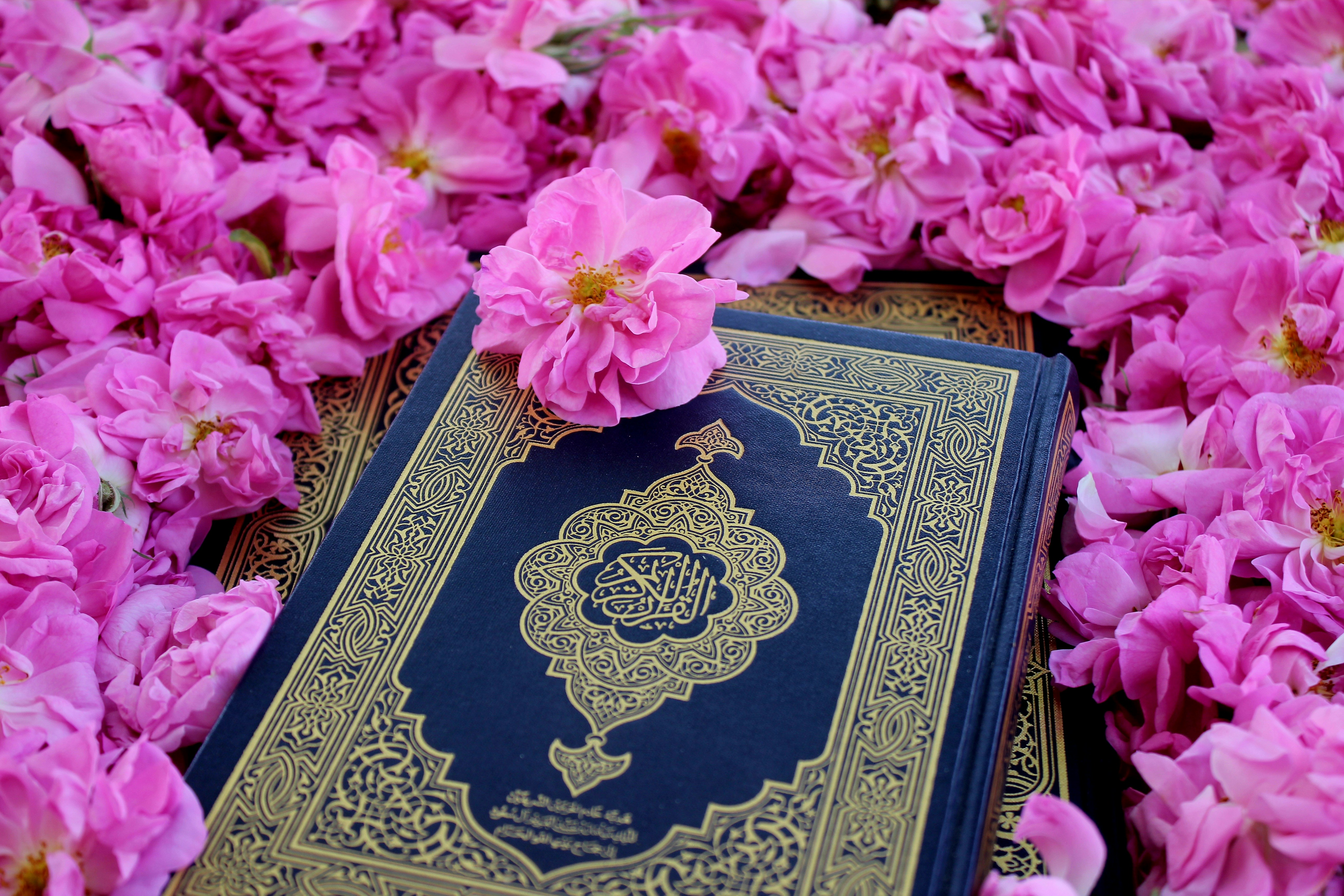 Quran Background Pictures | Download Free Images on Unsplash