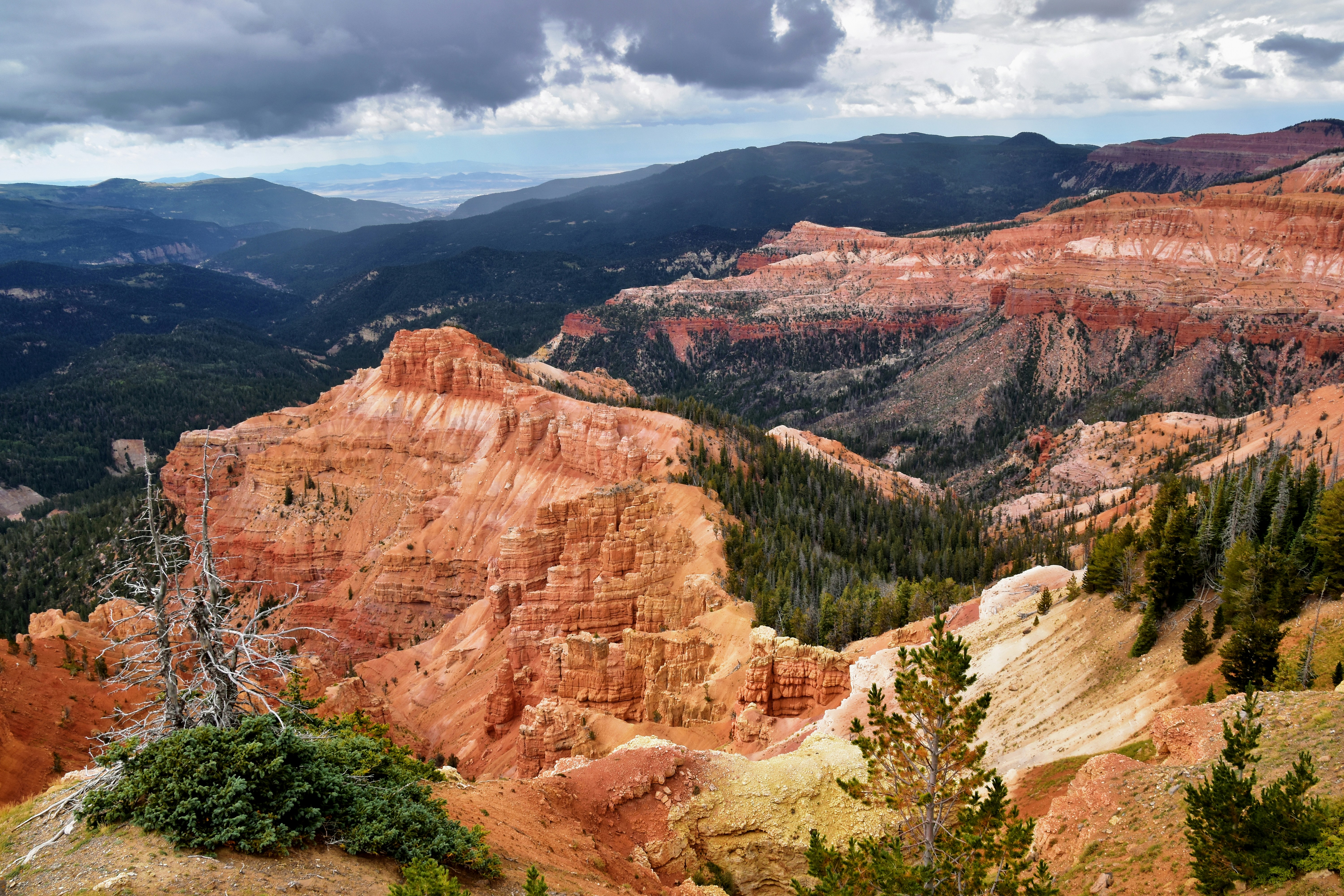 A scenic view of a mountain range with trees in the foreground photo ...