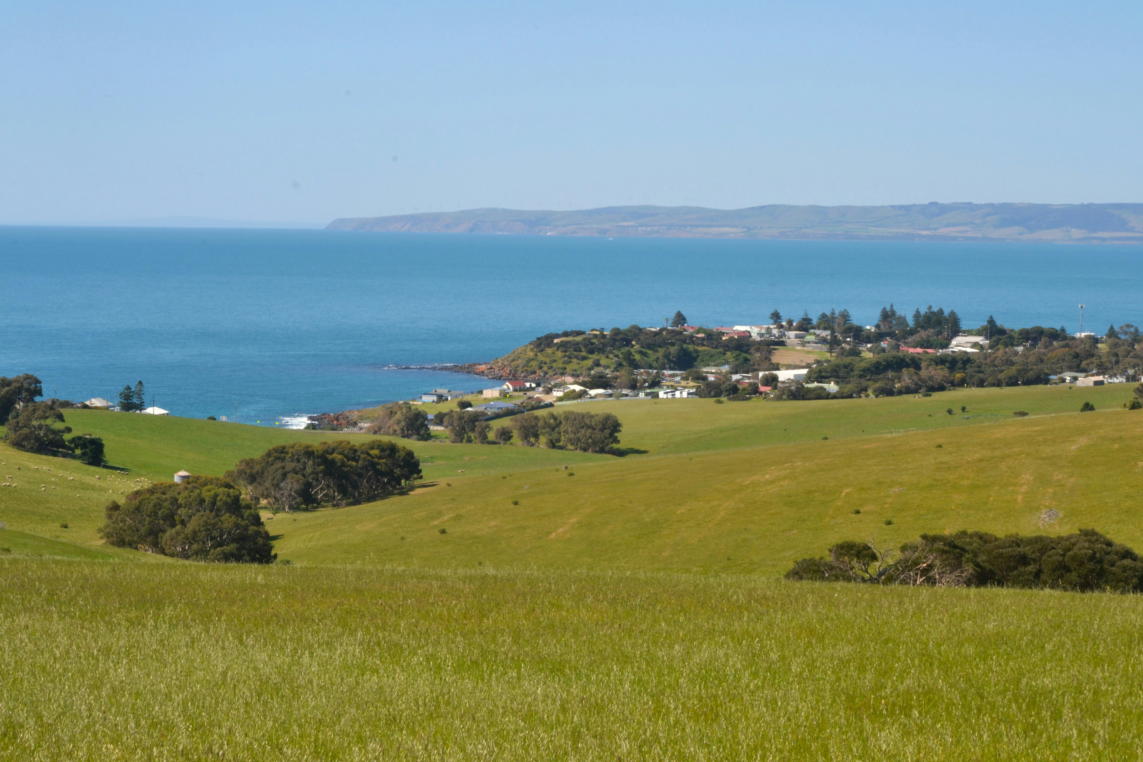 Coastal Pastures: Golden Hills Meet the Quiet Sea