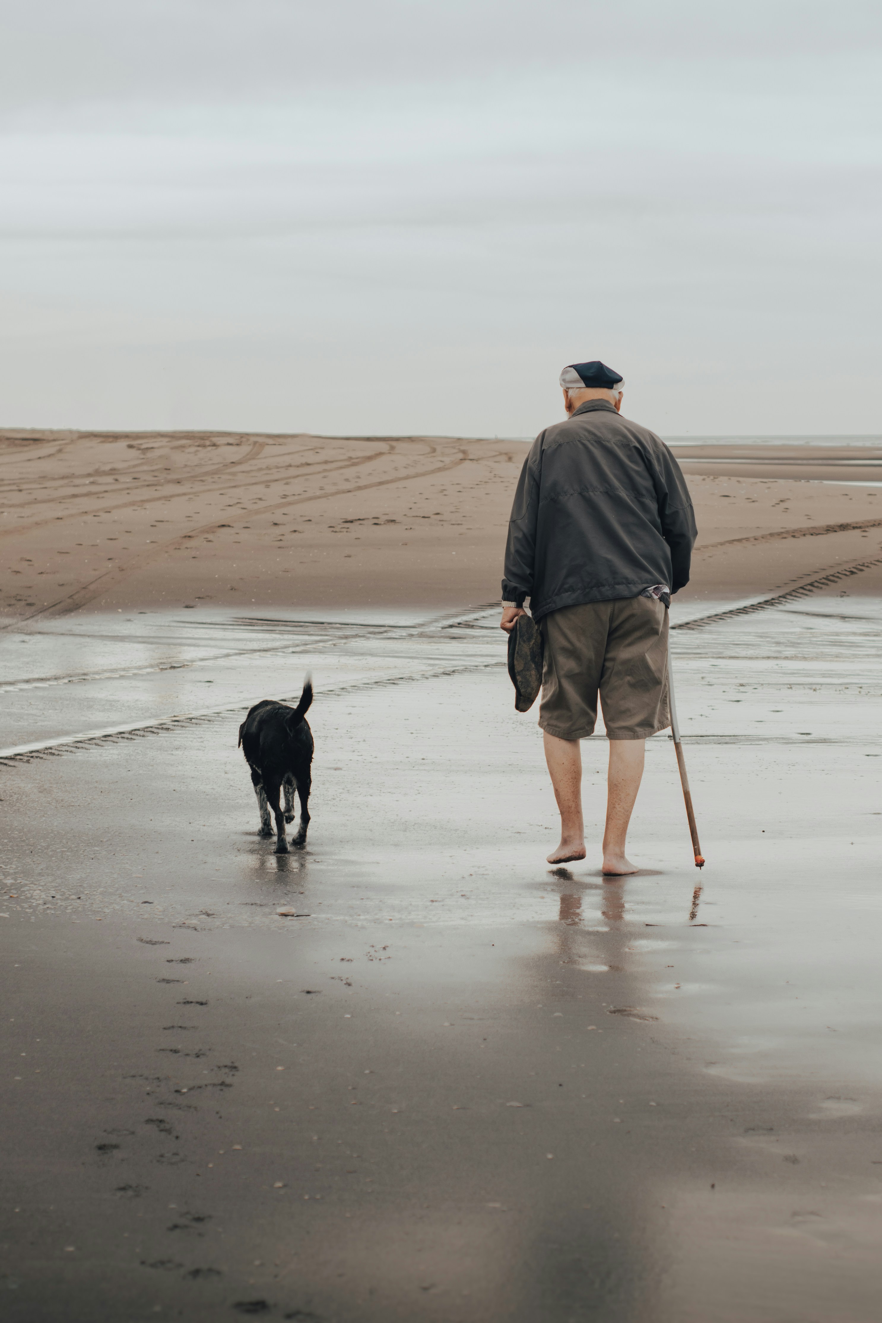 The Shoreline Stroll: An Elderly Traveler and His Loyal Companion