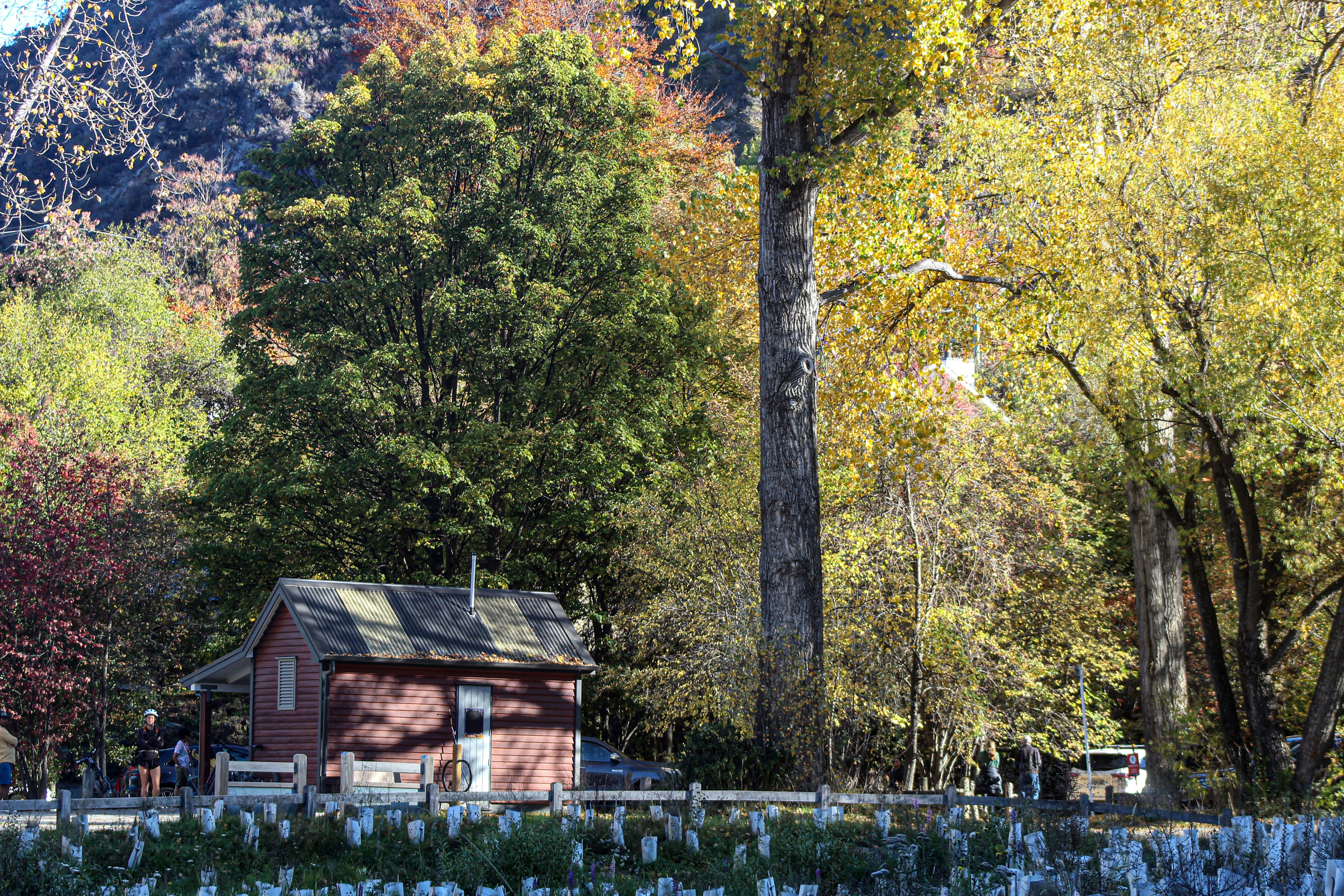 Photo by Mikyla Eden with Canon EOS 3000D