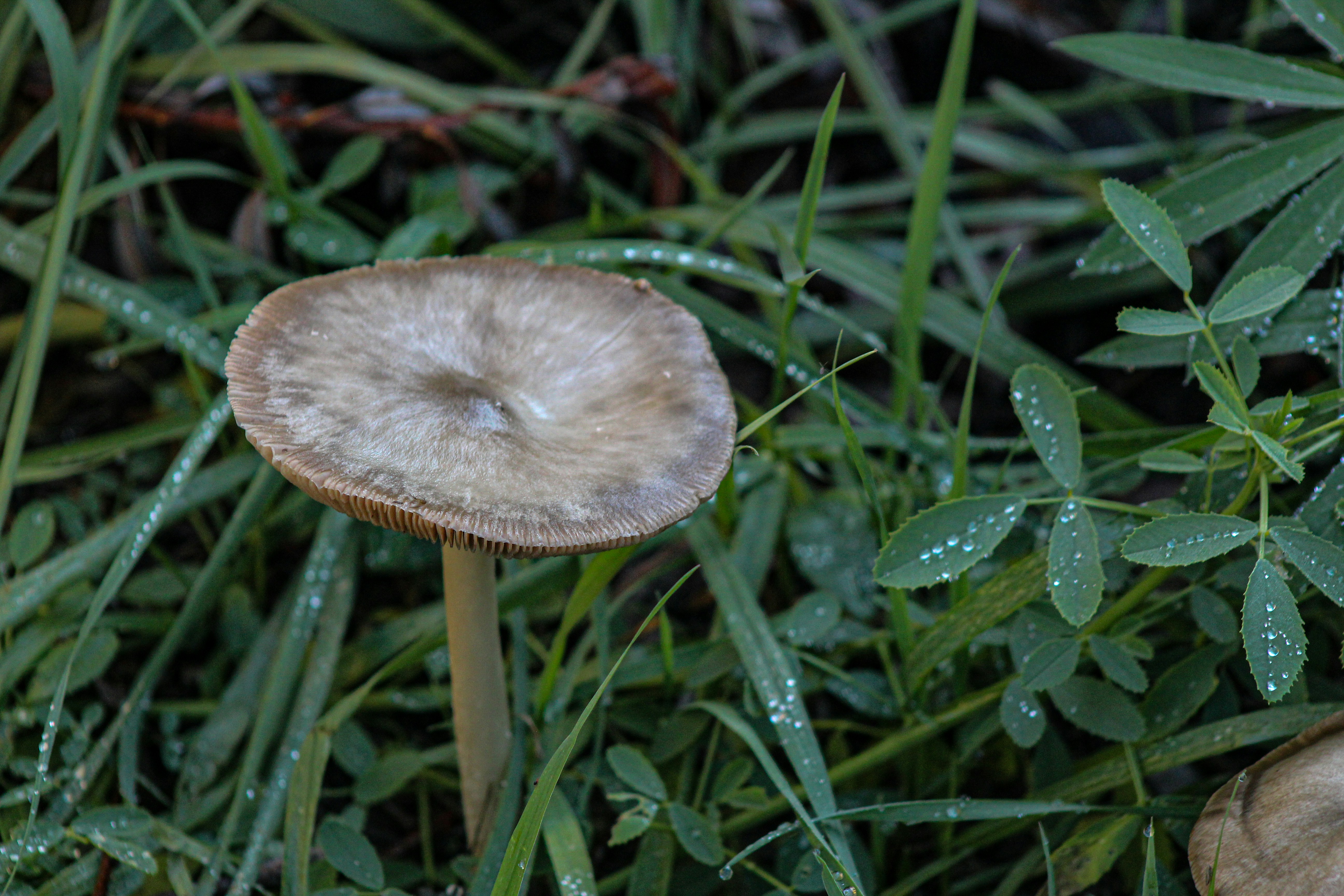 Photo by Mikyla Eden with Canon EOS 3000D