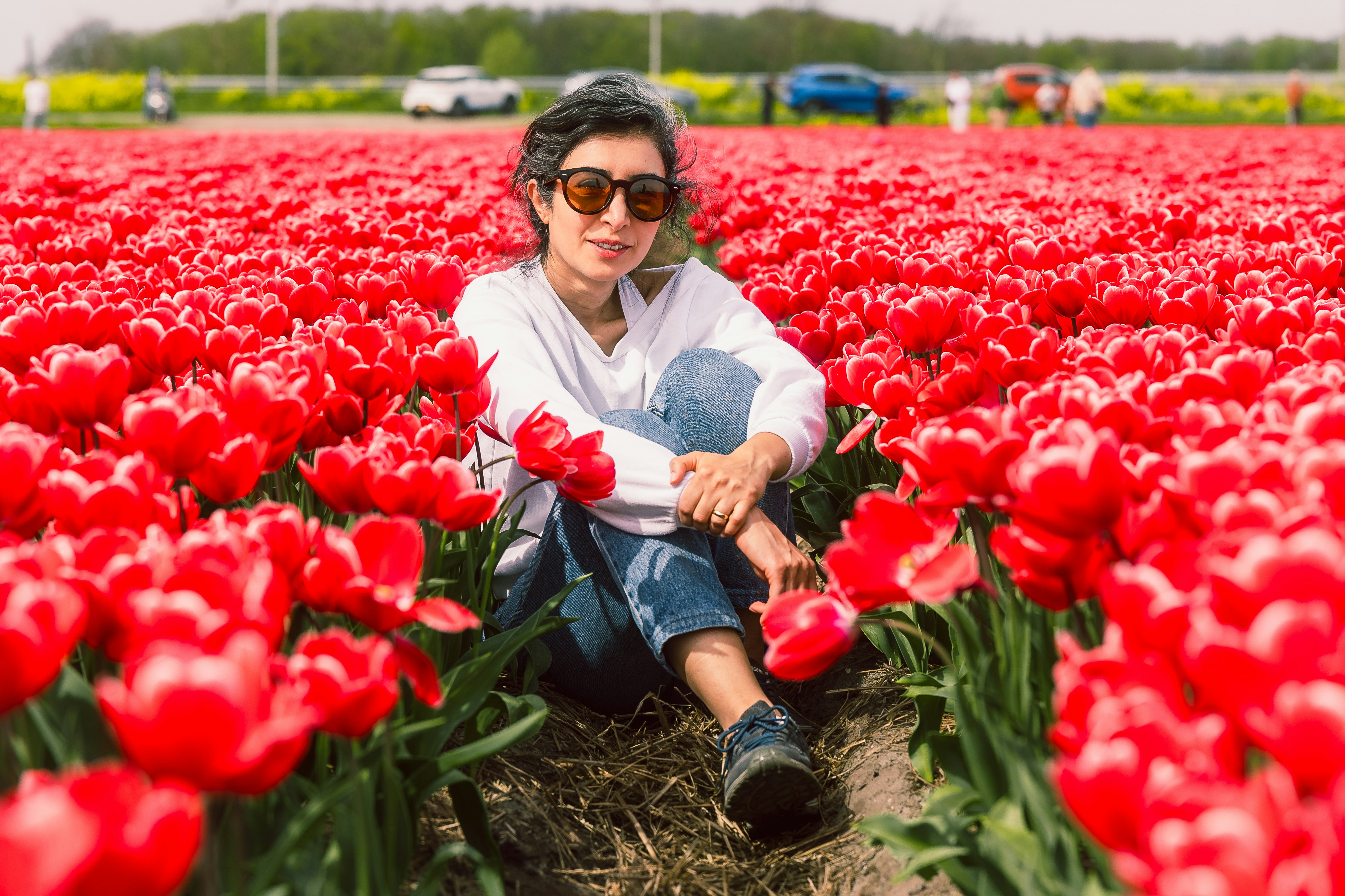 Sunglasses, Sun, and Red Tulips: A Moment in the Field