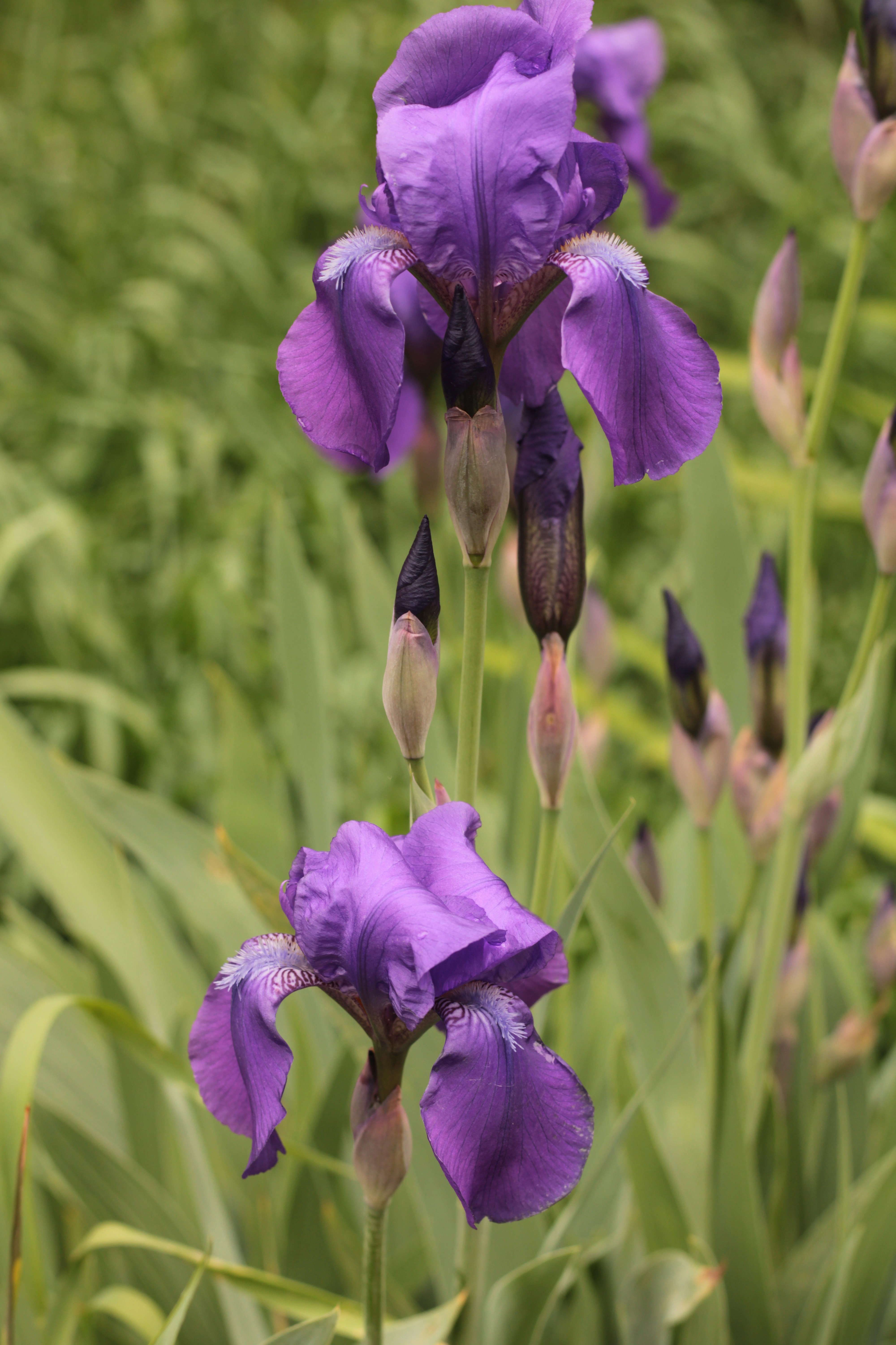 Photo by Theo Lonic with Canon EOS 2000D