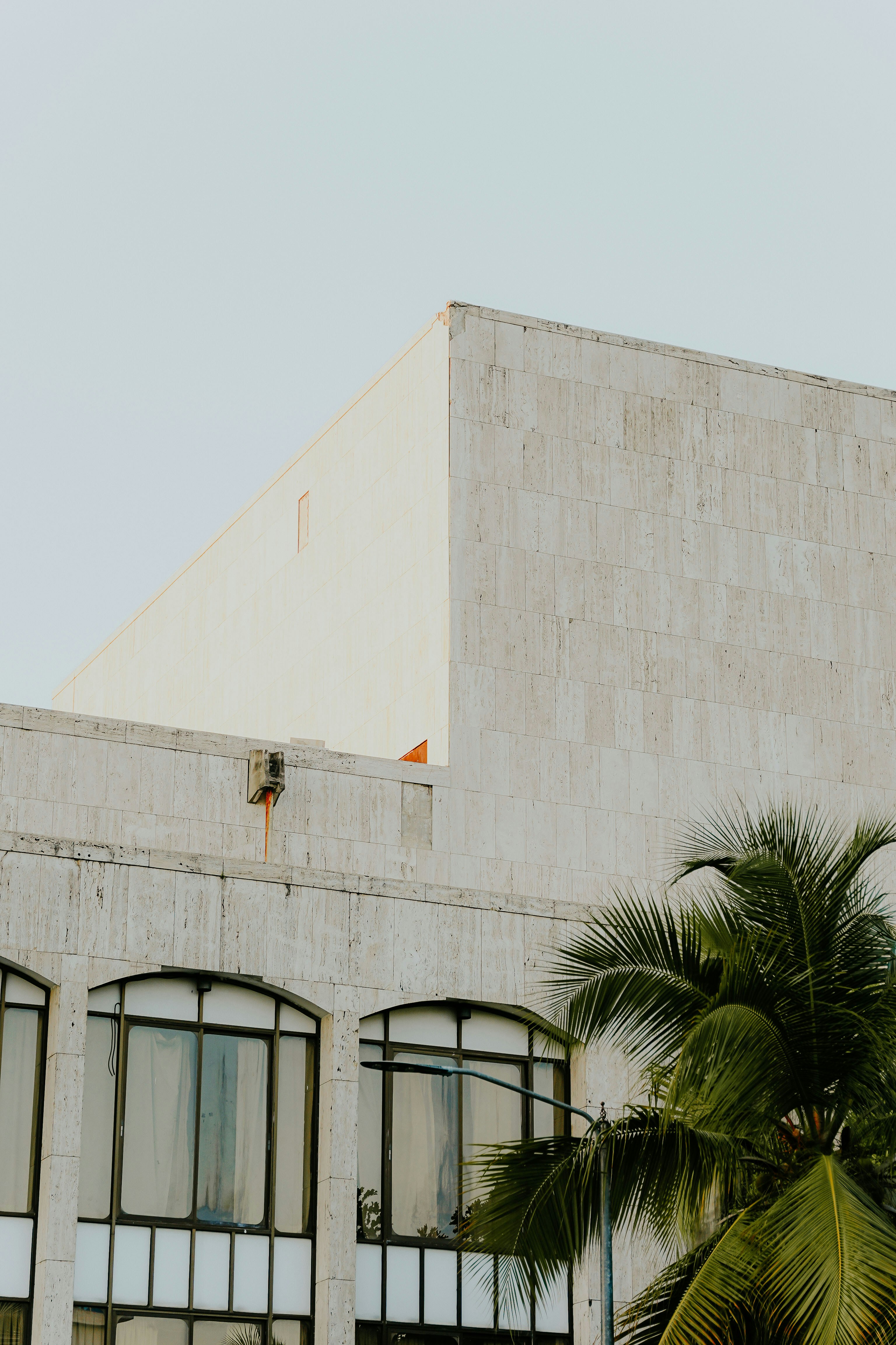 Minimalist Architecture Meets Fronded Accent