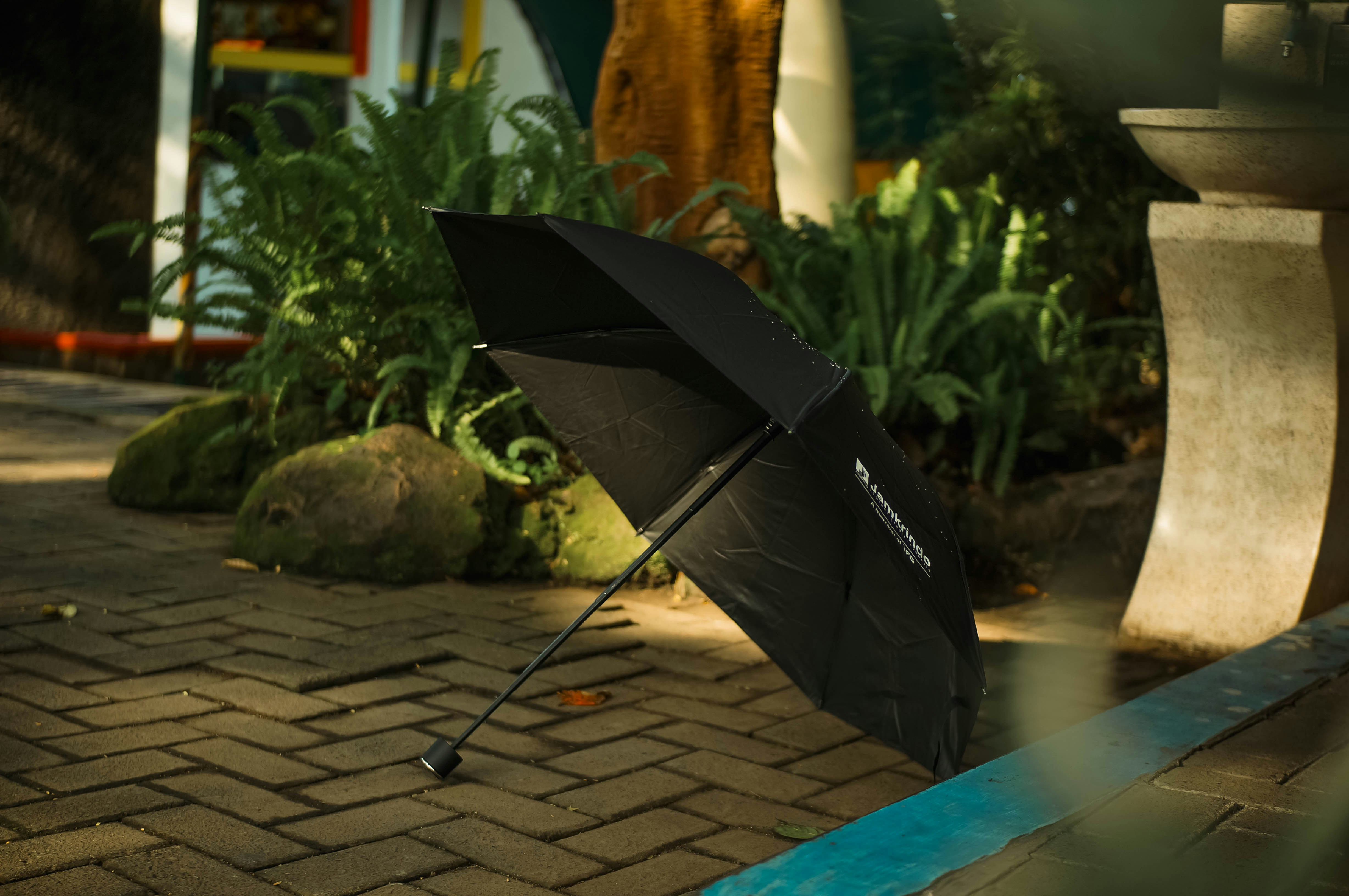 Black umbrella leaning against a stone path surrounded by lush greenery in sunlight.