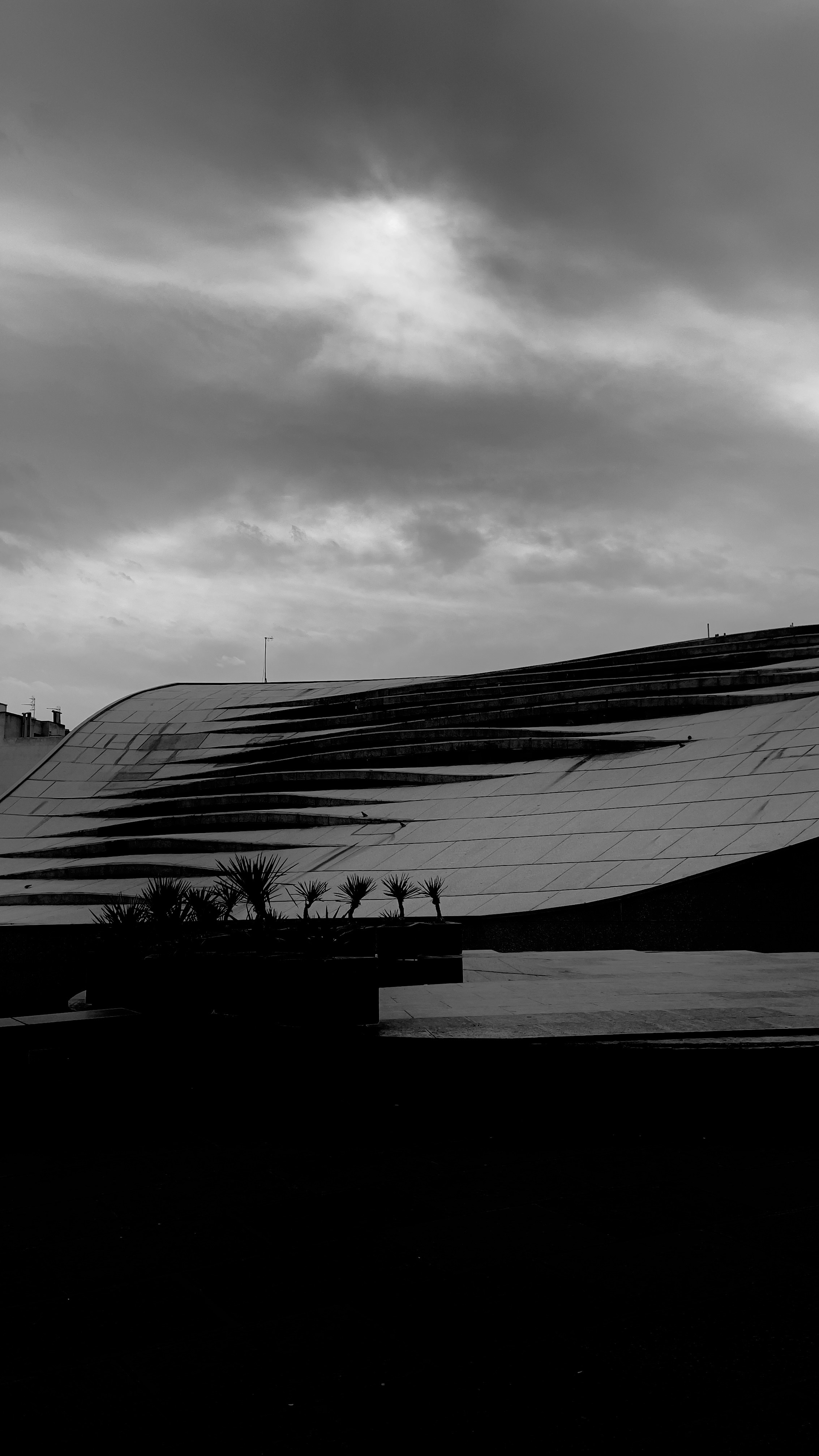 Monolithic Waves Beneath a Greying Sky