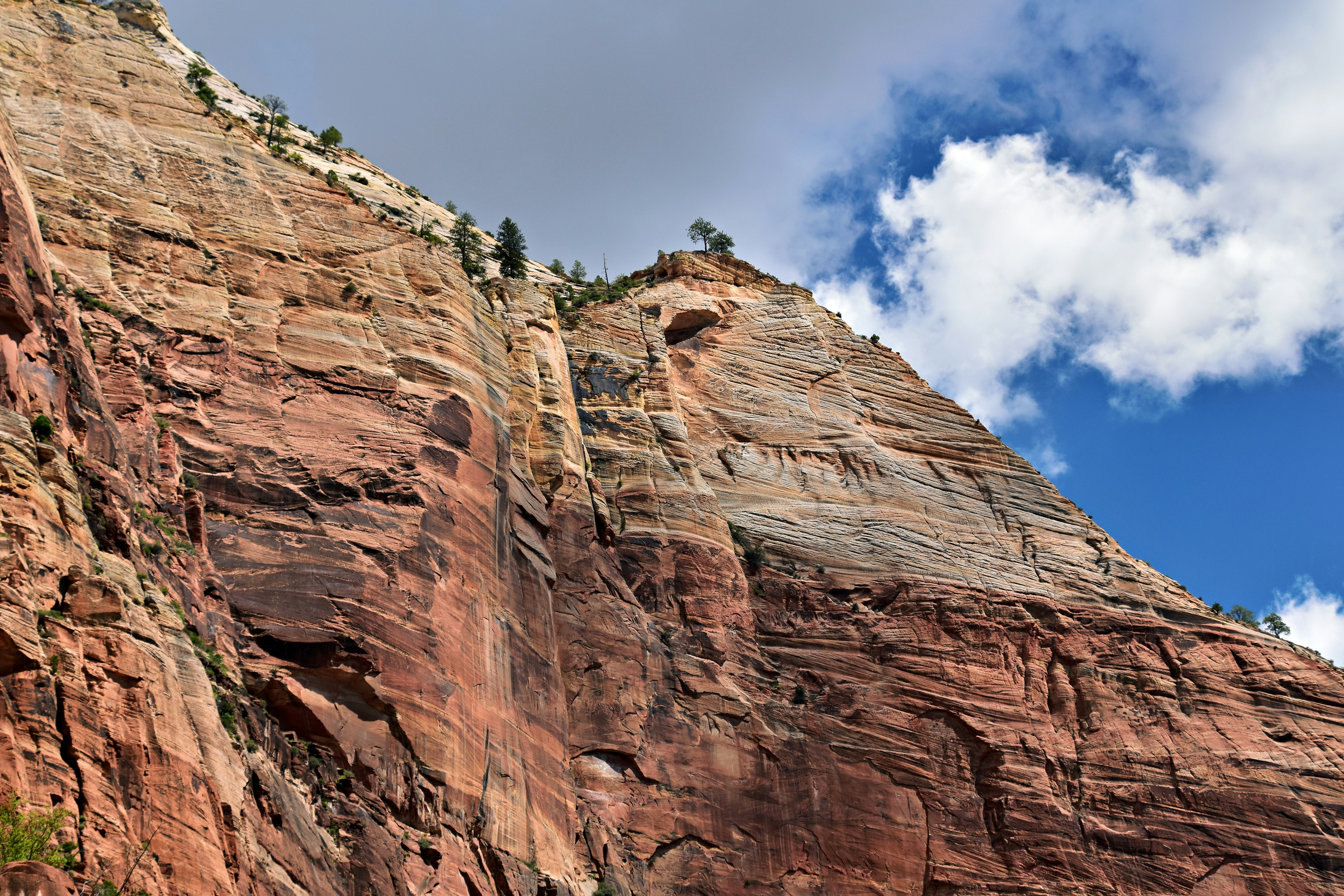 A very tall mountain with a sky background photo – Free Zion national ...
