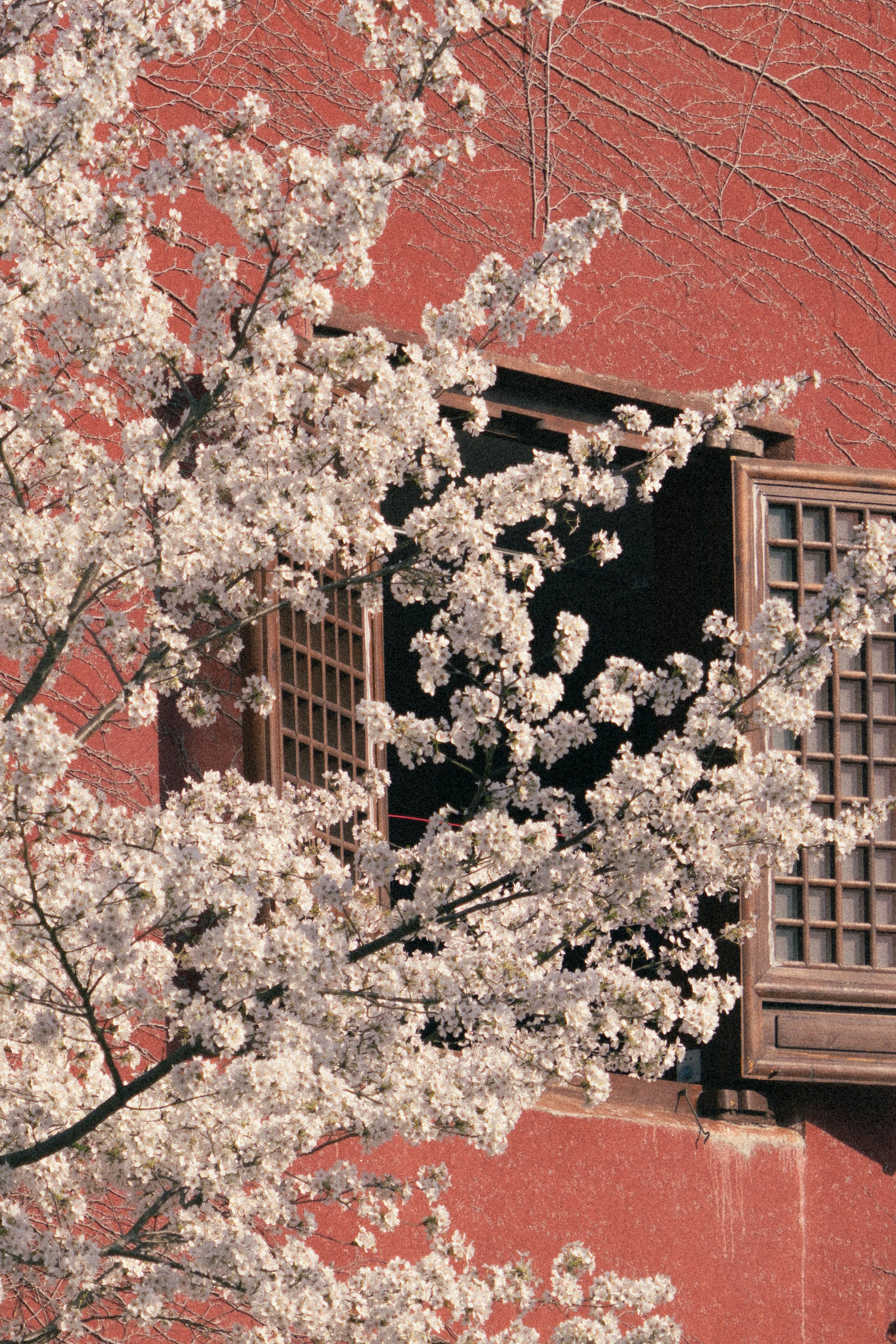 Photo by Zheng Liew with Sony Alpha 7R V