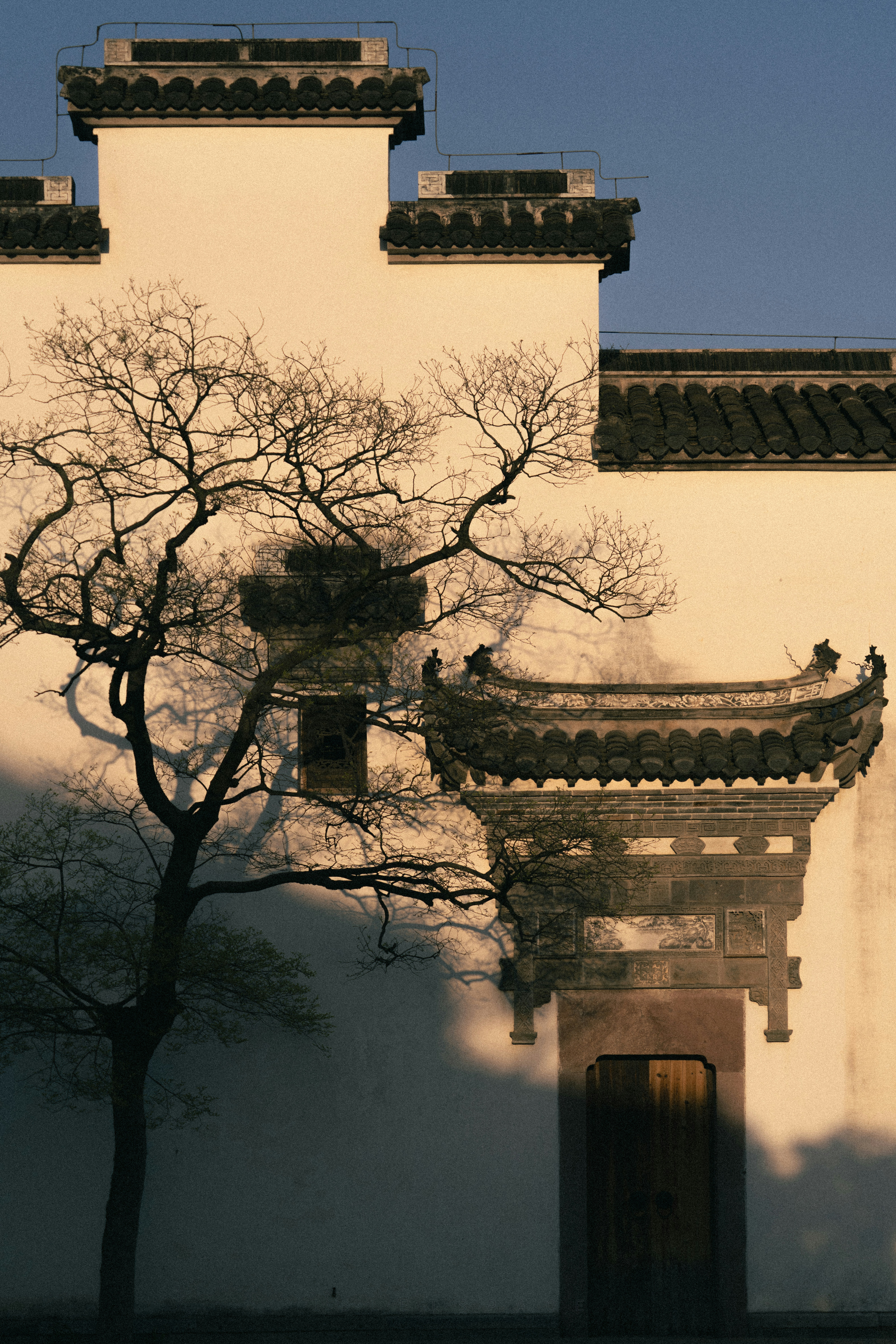 a tall white building with a tree in front of it