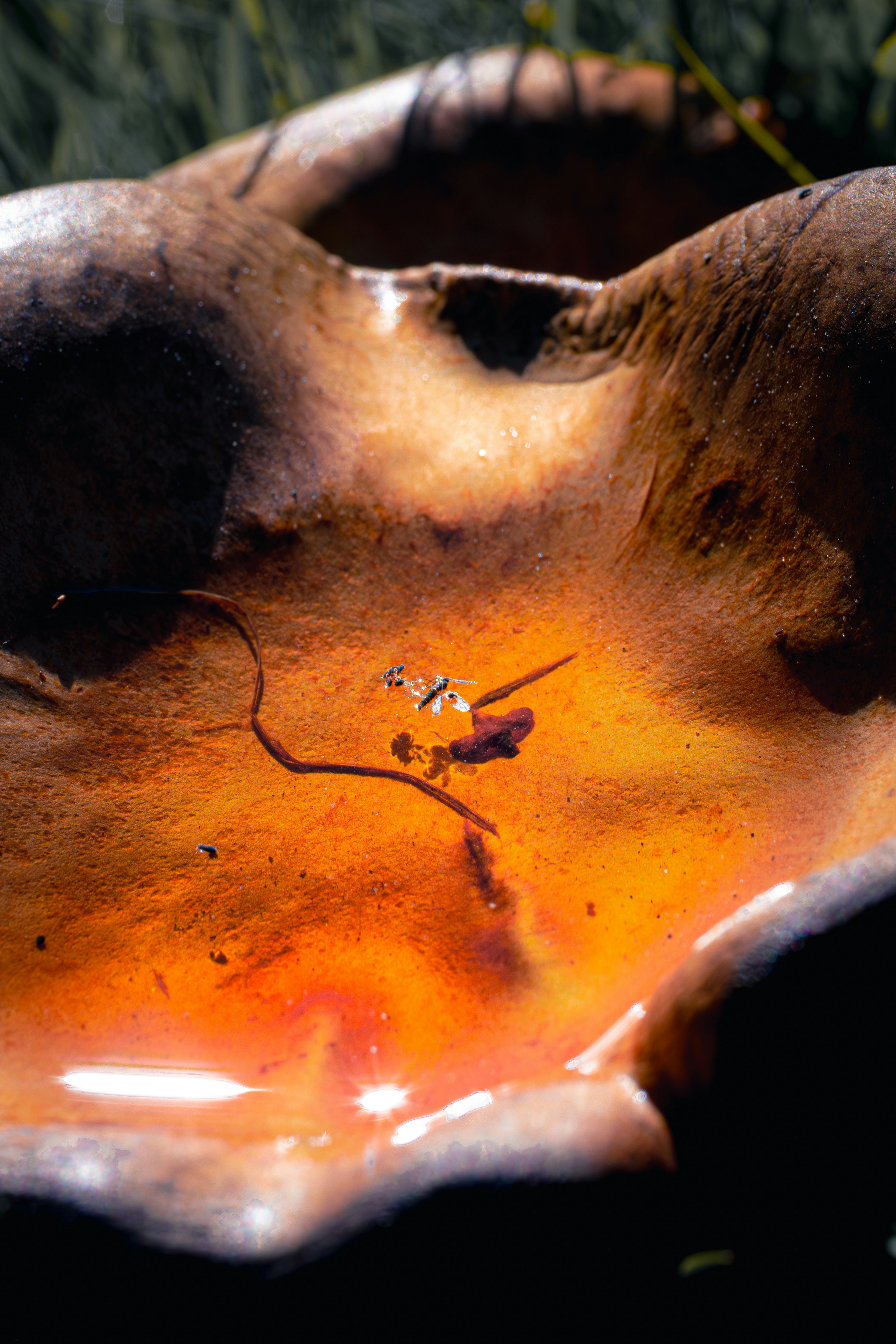 a close up of a piece of food on the ground