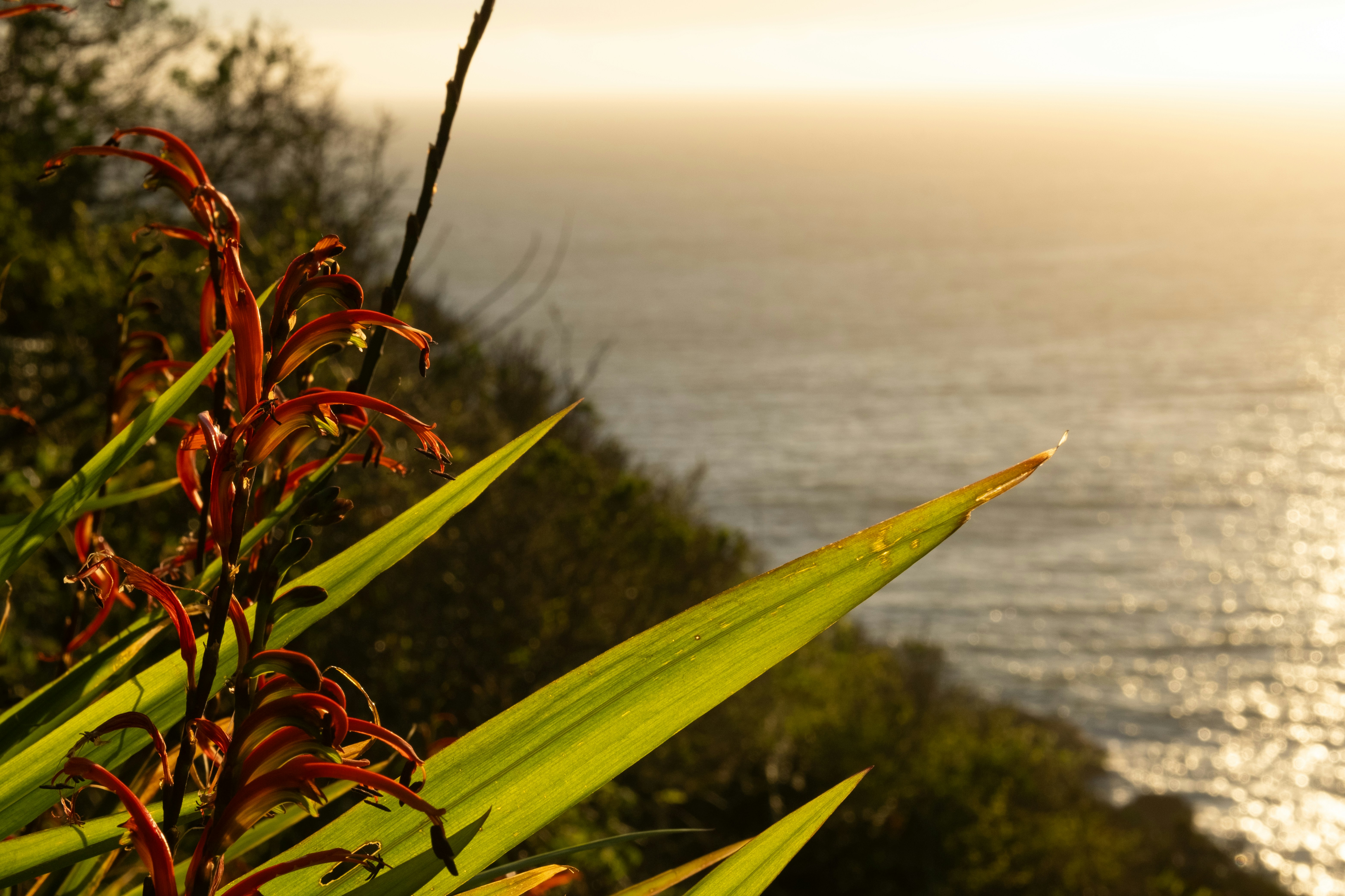 Photo by Dennis Thompson with Fujifilm X-T30 II