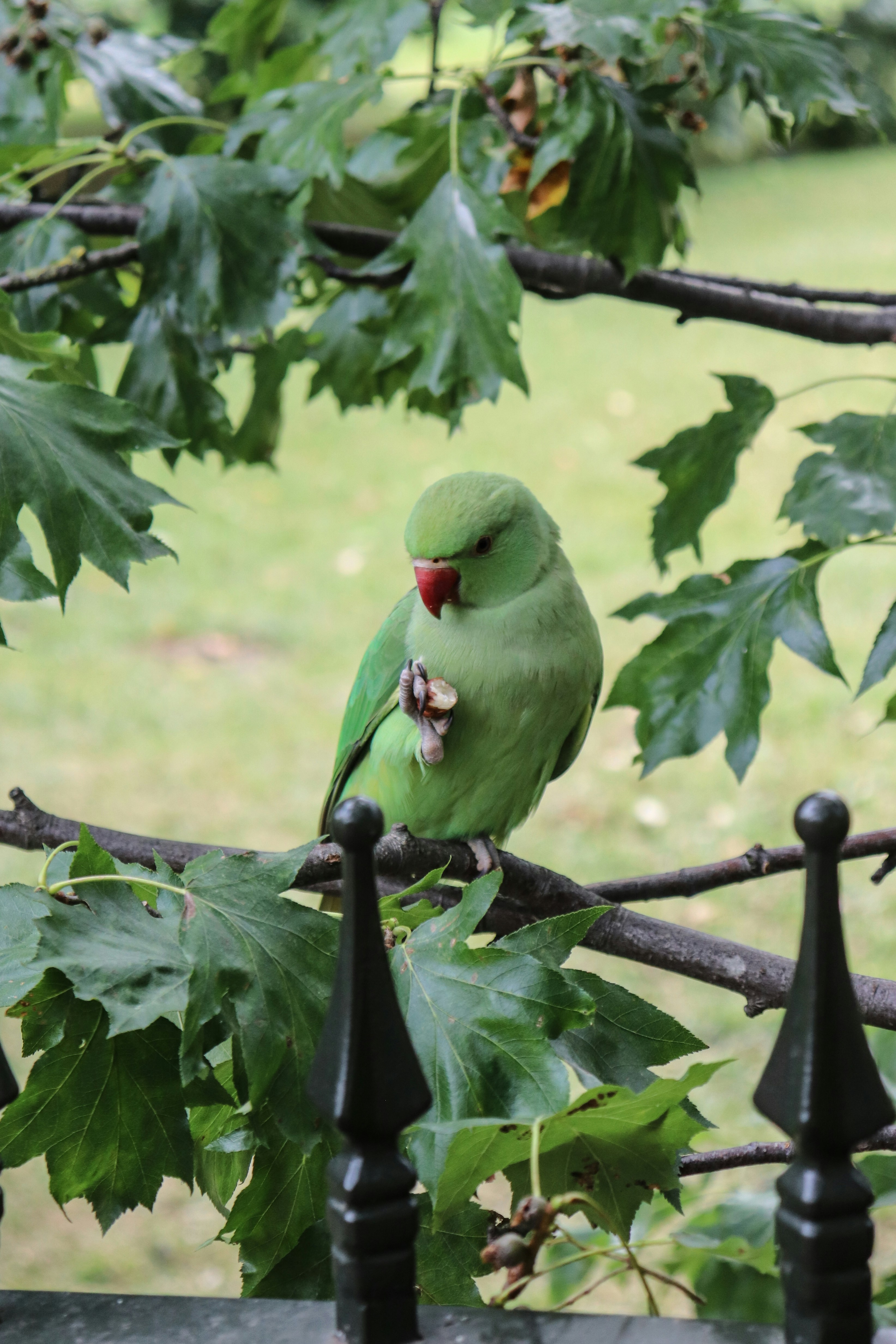 Photo by Jagoda Lalik with Canon EOS 77D