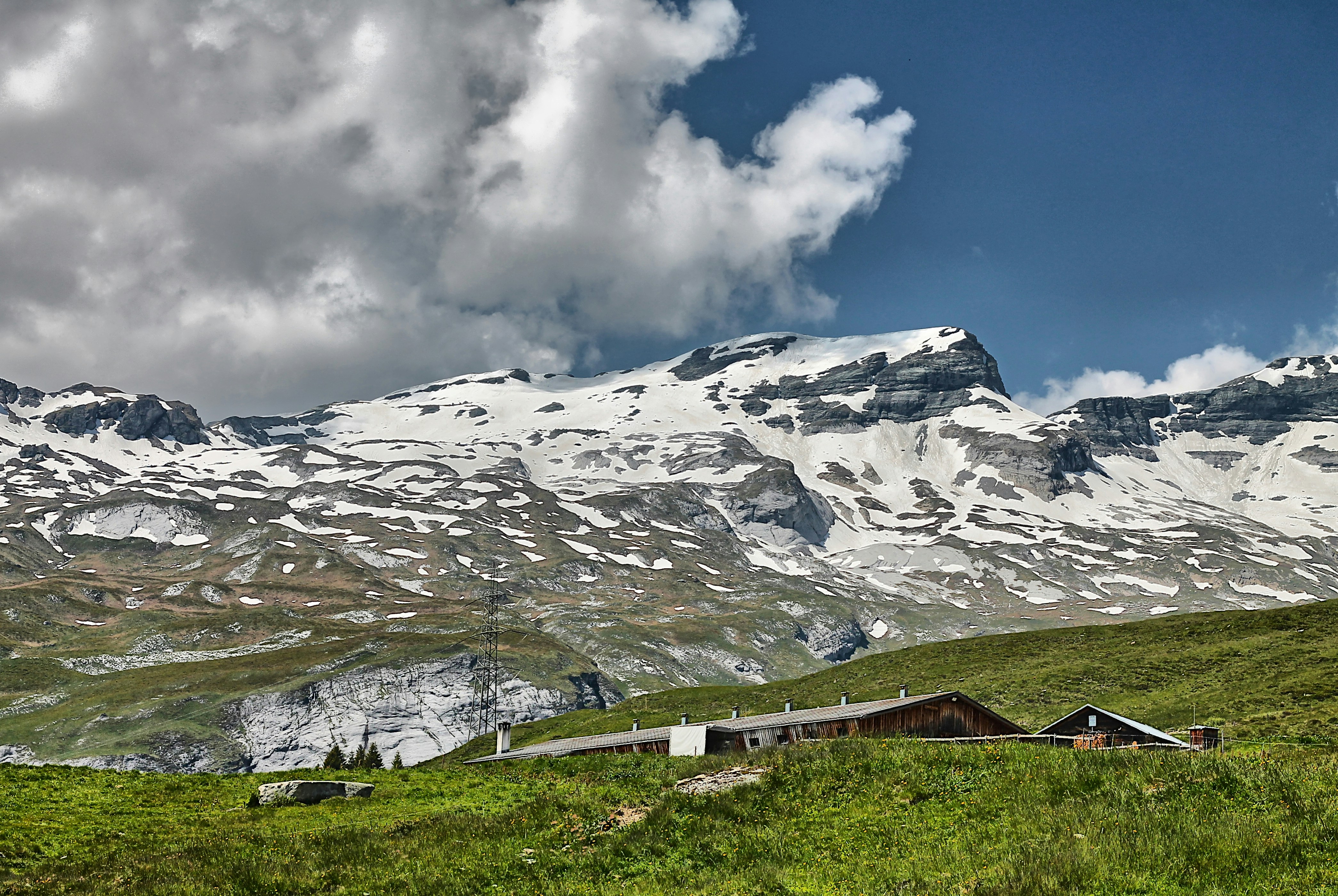 Alpine Meadow at the Foot of a Snowbound Ridge