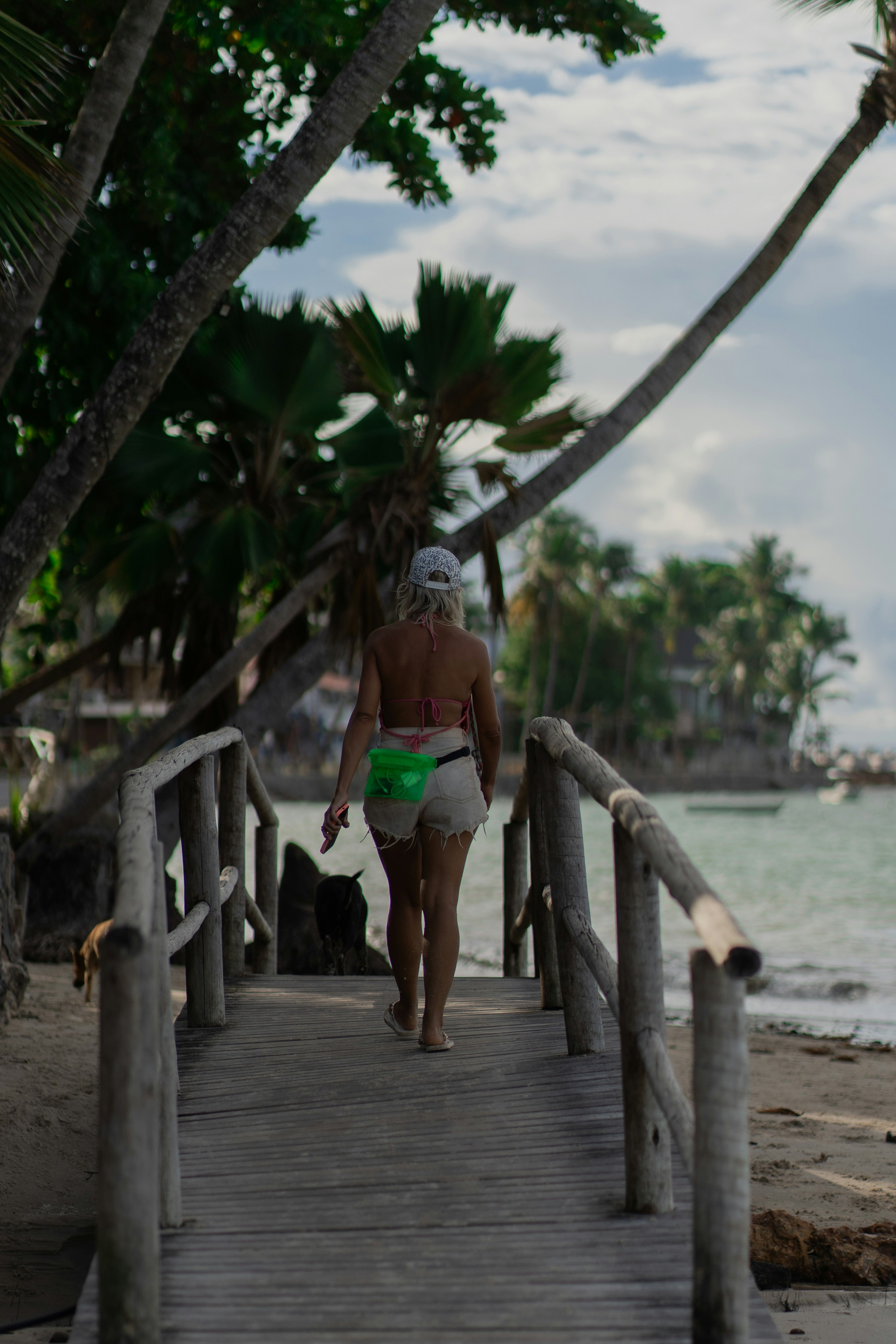 Shorebound Stroll on a Palm-Fringed Boardwalk