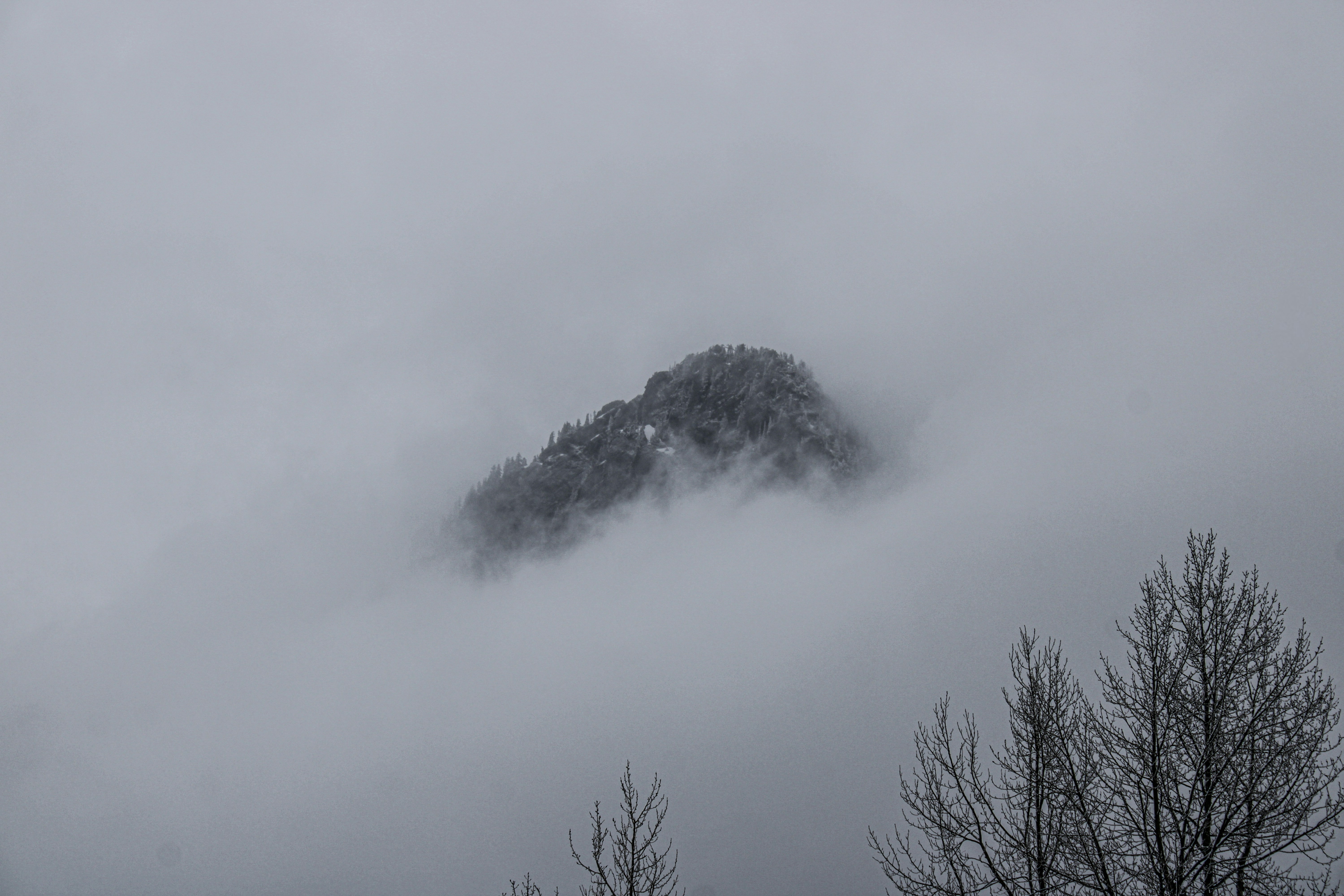 It has been revealed, only to go into hiding again.