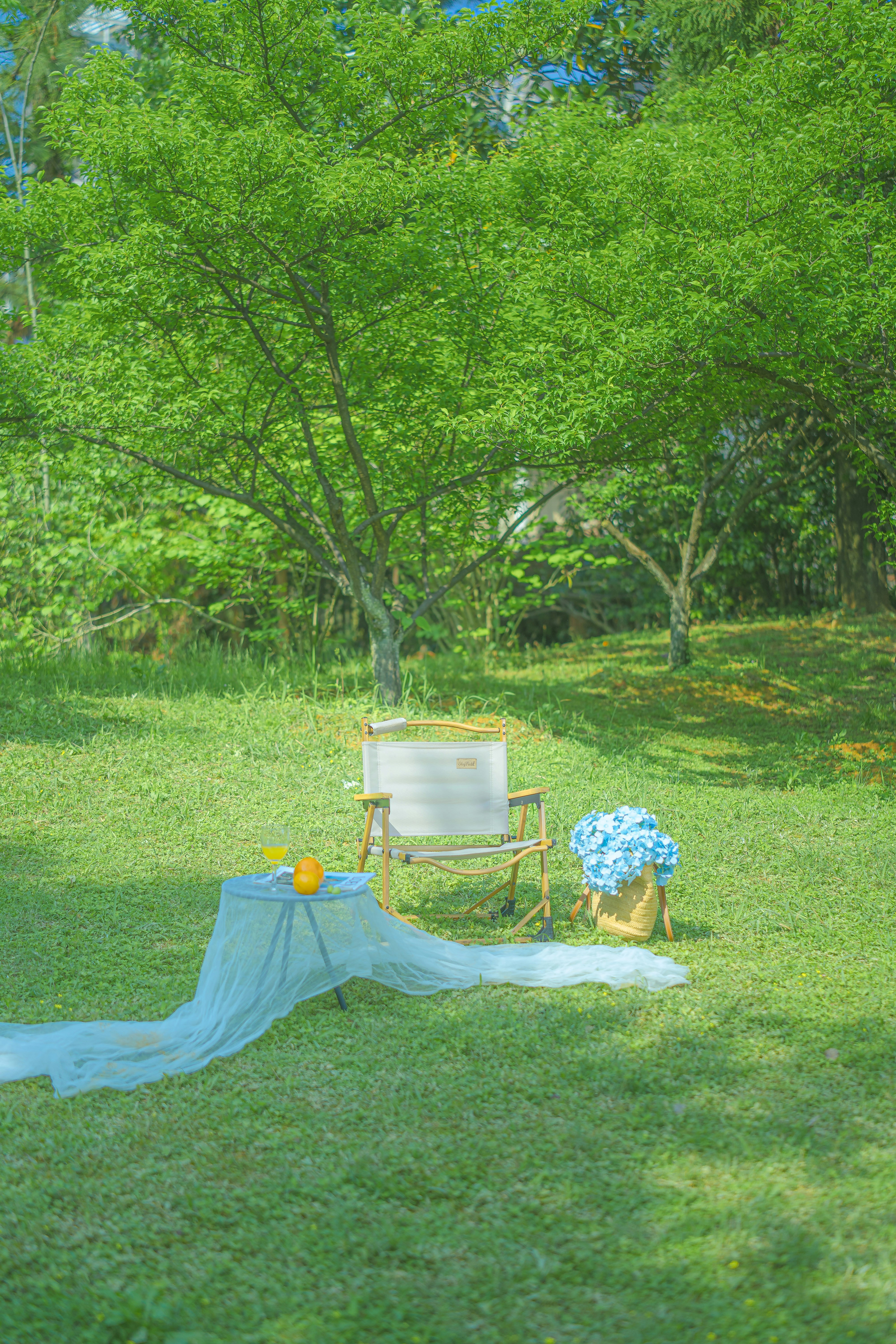 Soft Picnic Ensemble Under a Sunlit Canopy of Green