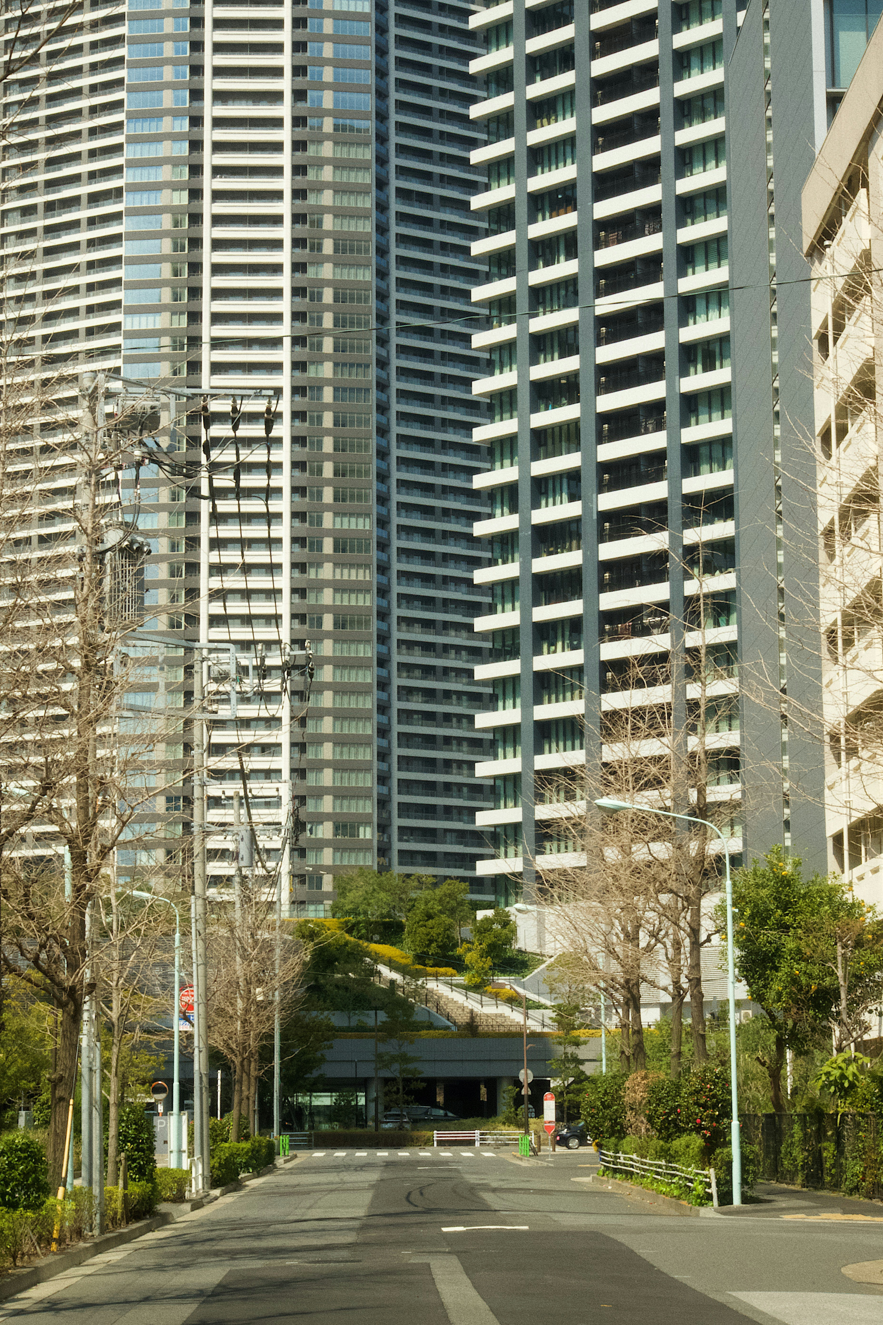 Between Glass Giants: A Narrow Street Framed by Towers