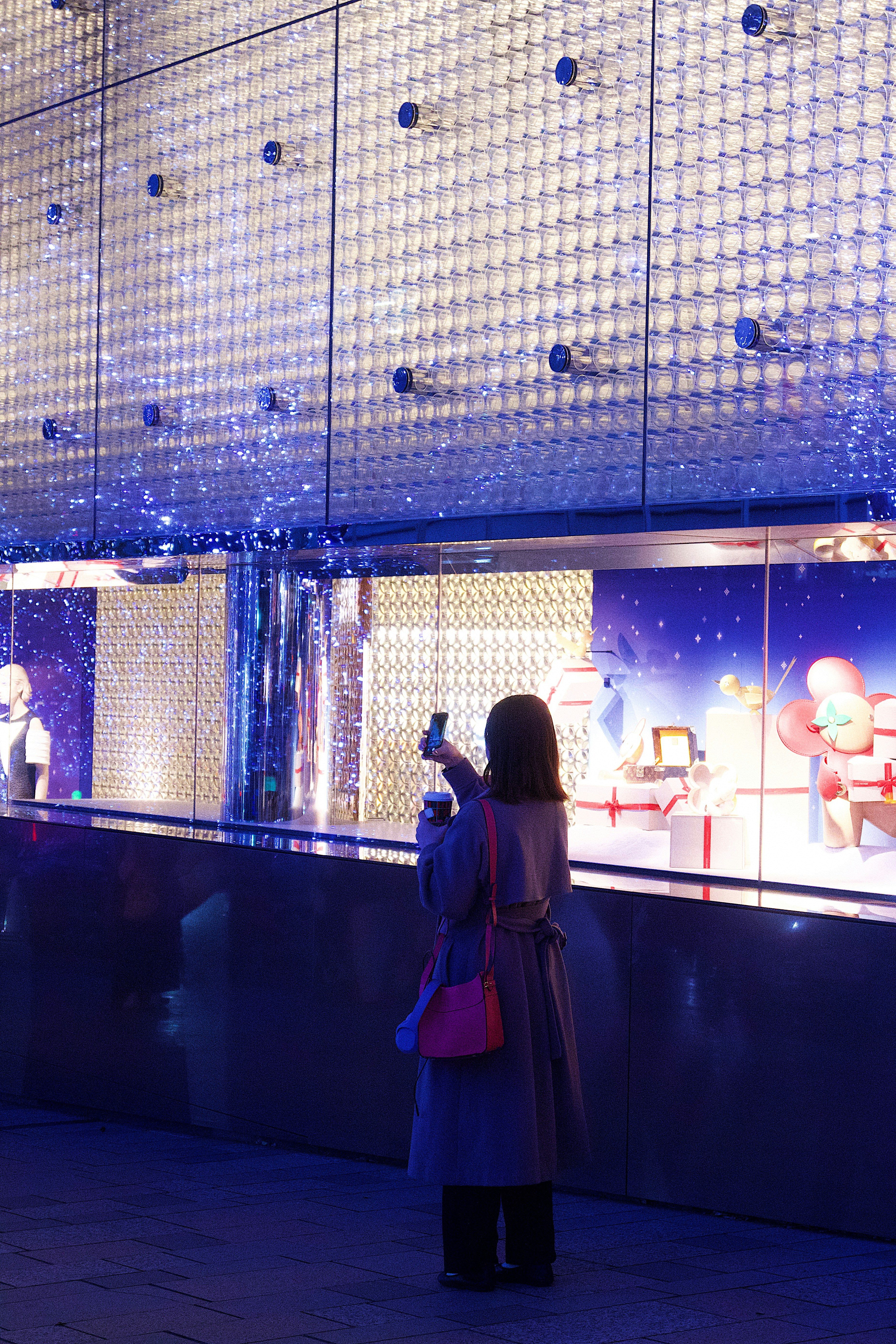Blue Hour Silhouette: A Shopper Frames Neon Delights Through Glass