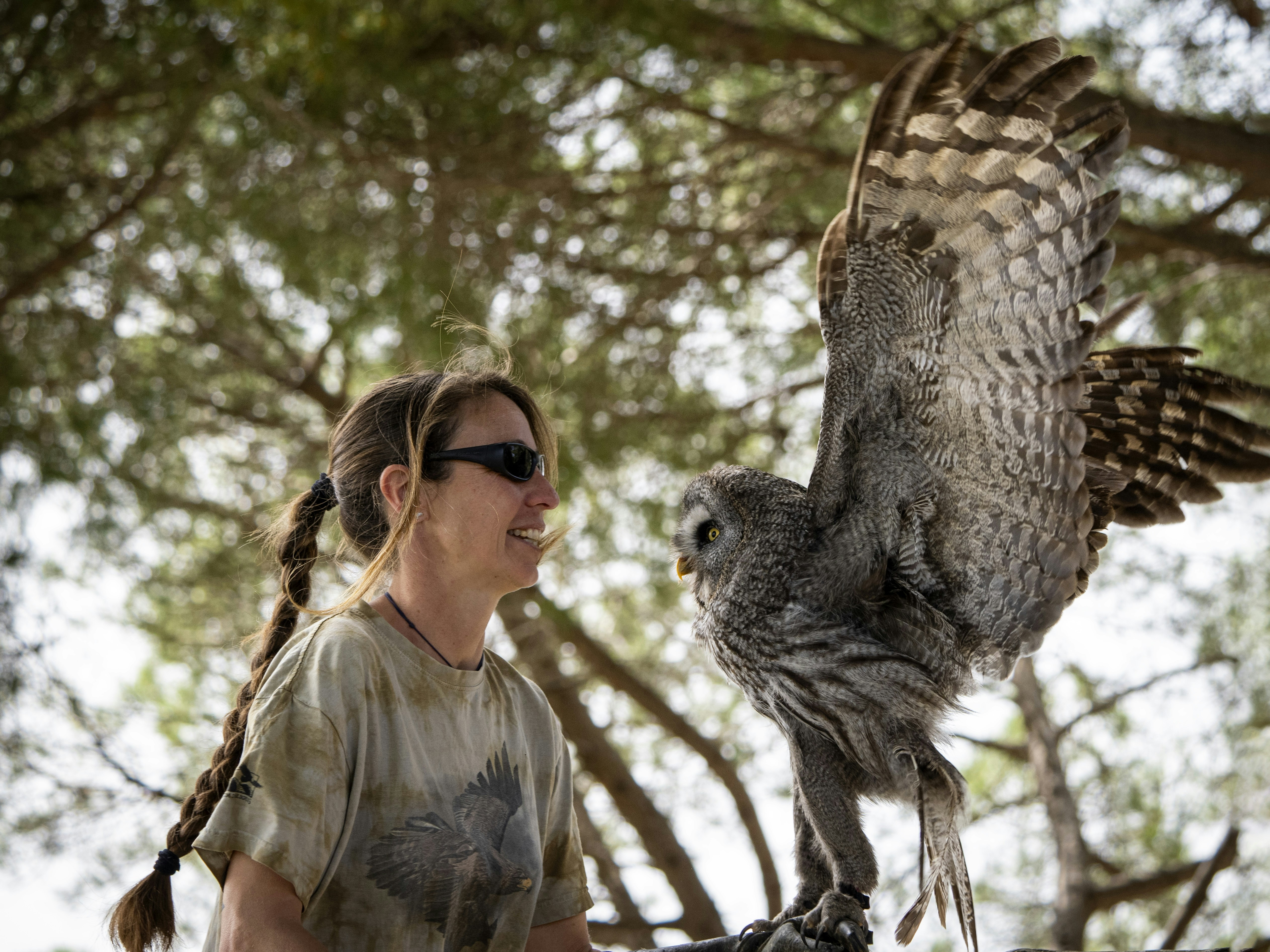 In Flight, Close Encounter: Owl Hovering by a Smiling Traveler Under Pines
