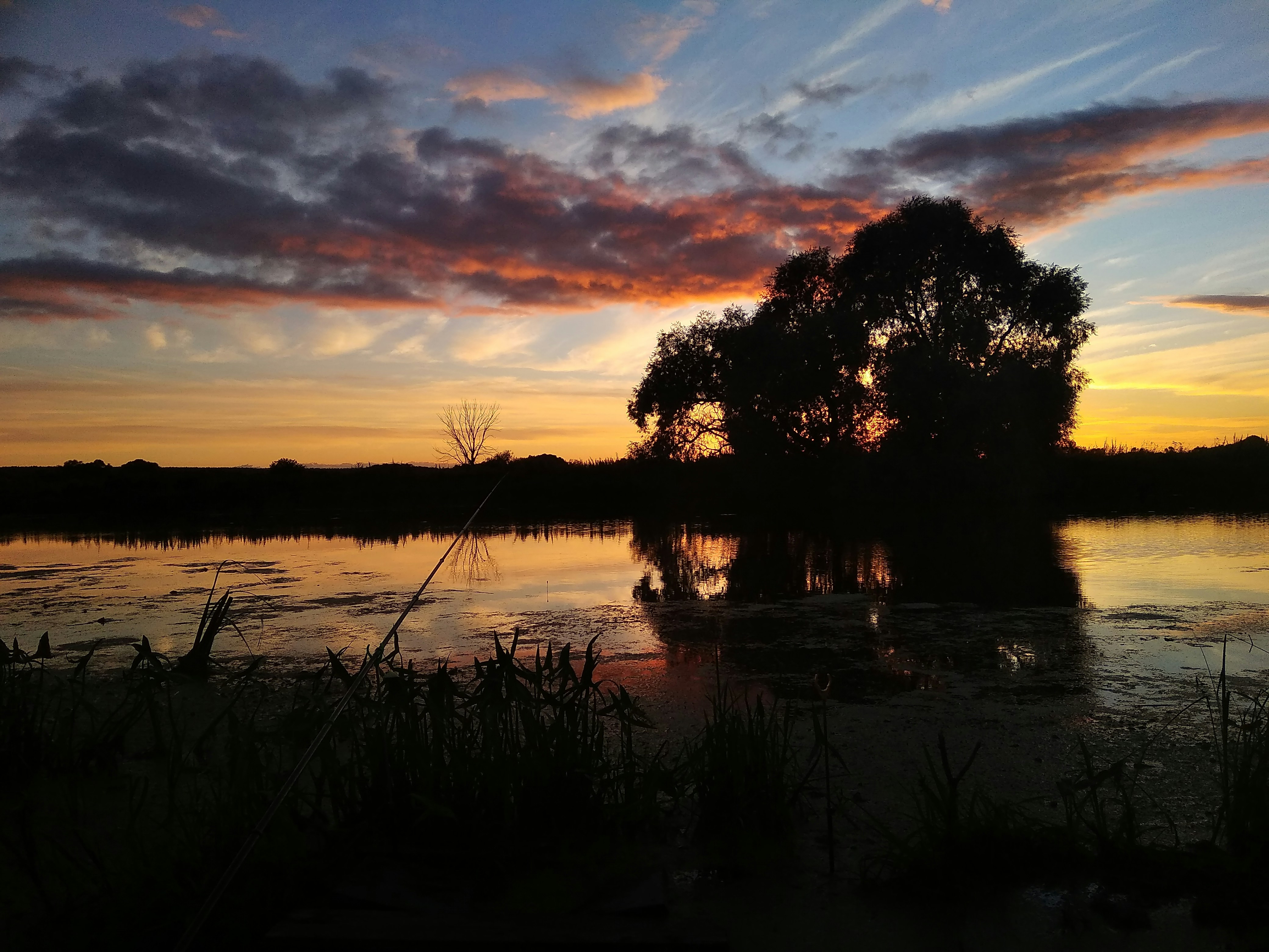 Sunset photograph of silhouetted trees reflecting on a calm river. The warm clouds glow with orange and pink hues, creating a tranquil twilight mood.