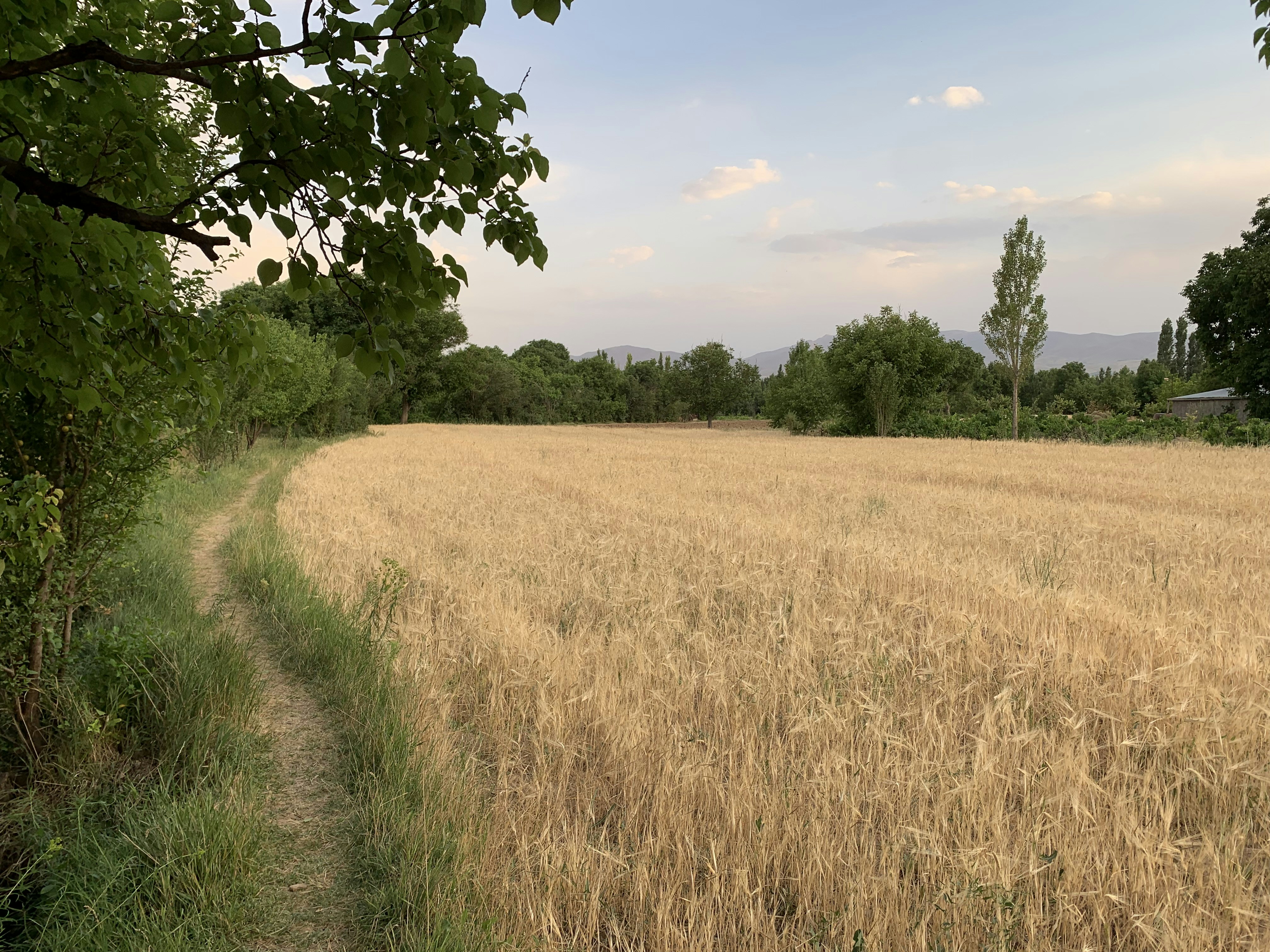 30,000+ Farmland Pictures | Download Free Images on Unsplash