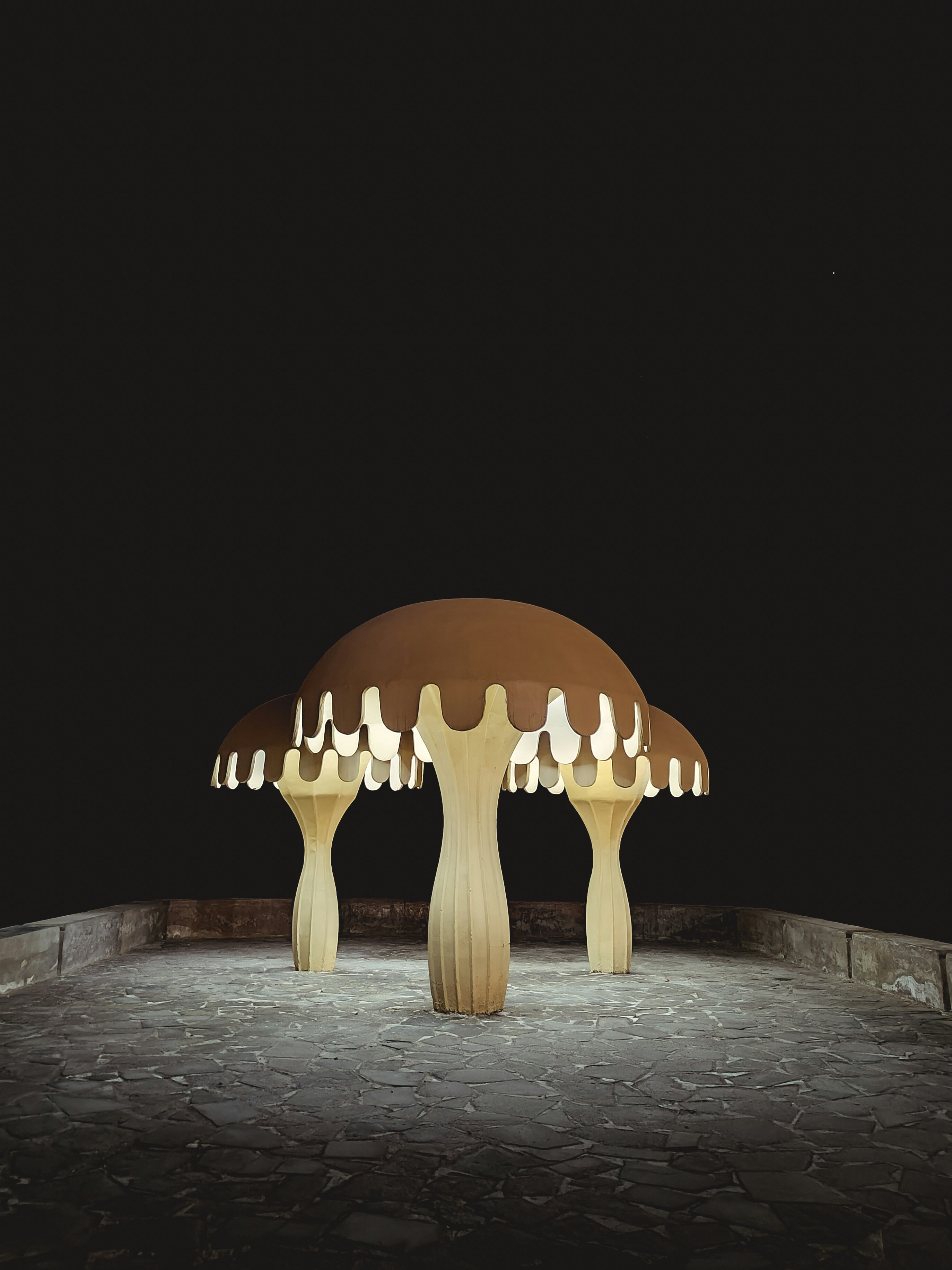 Glowing mushrooms on a moonlit terrace