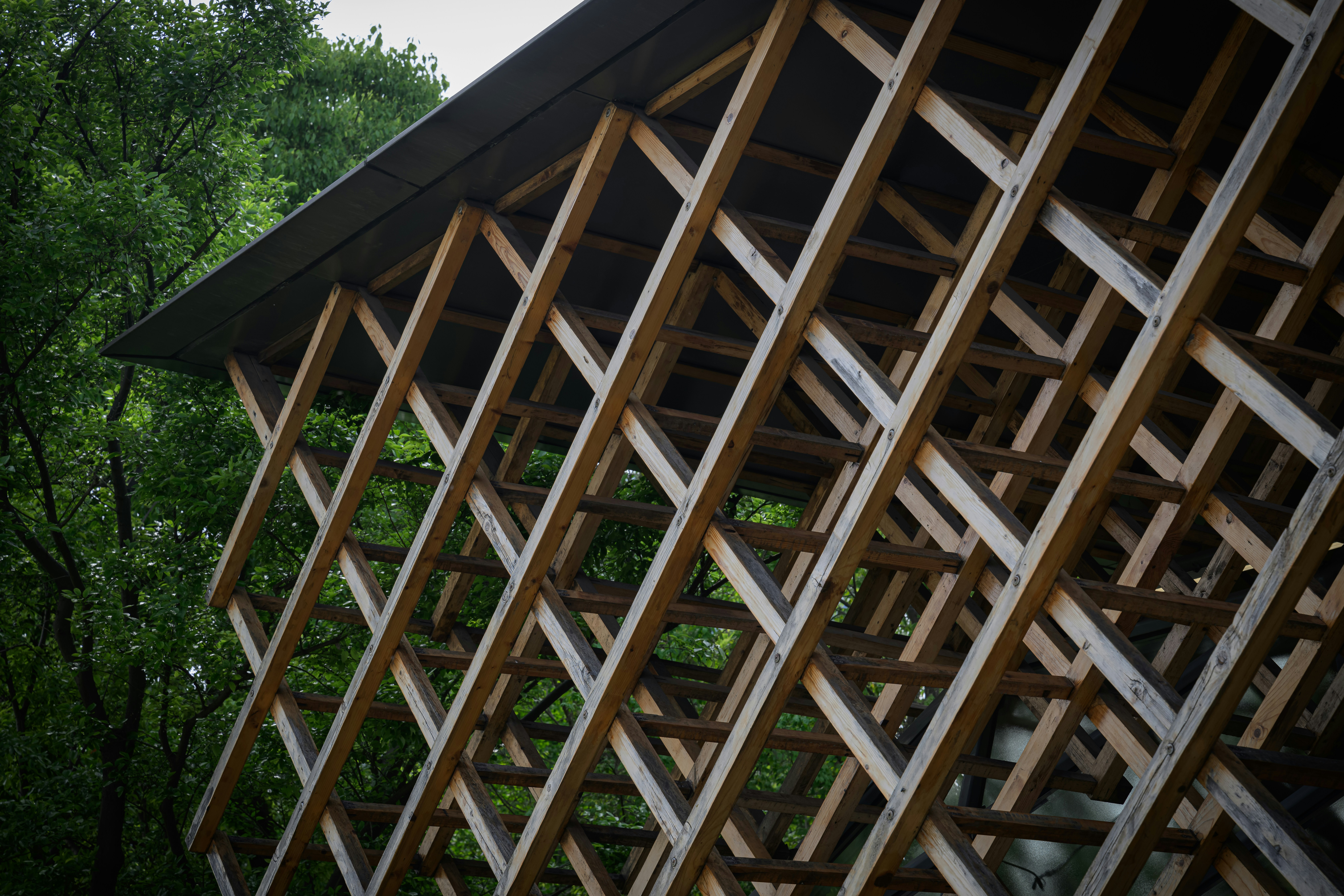 Une structure en bois assise au milieu d’une forêt photo – Photo ...